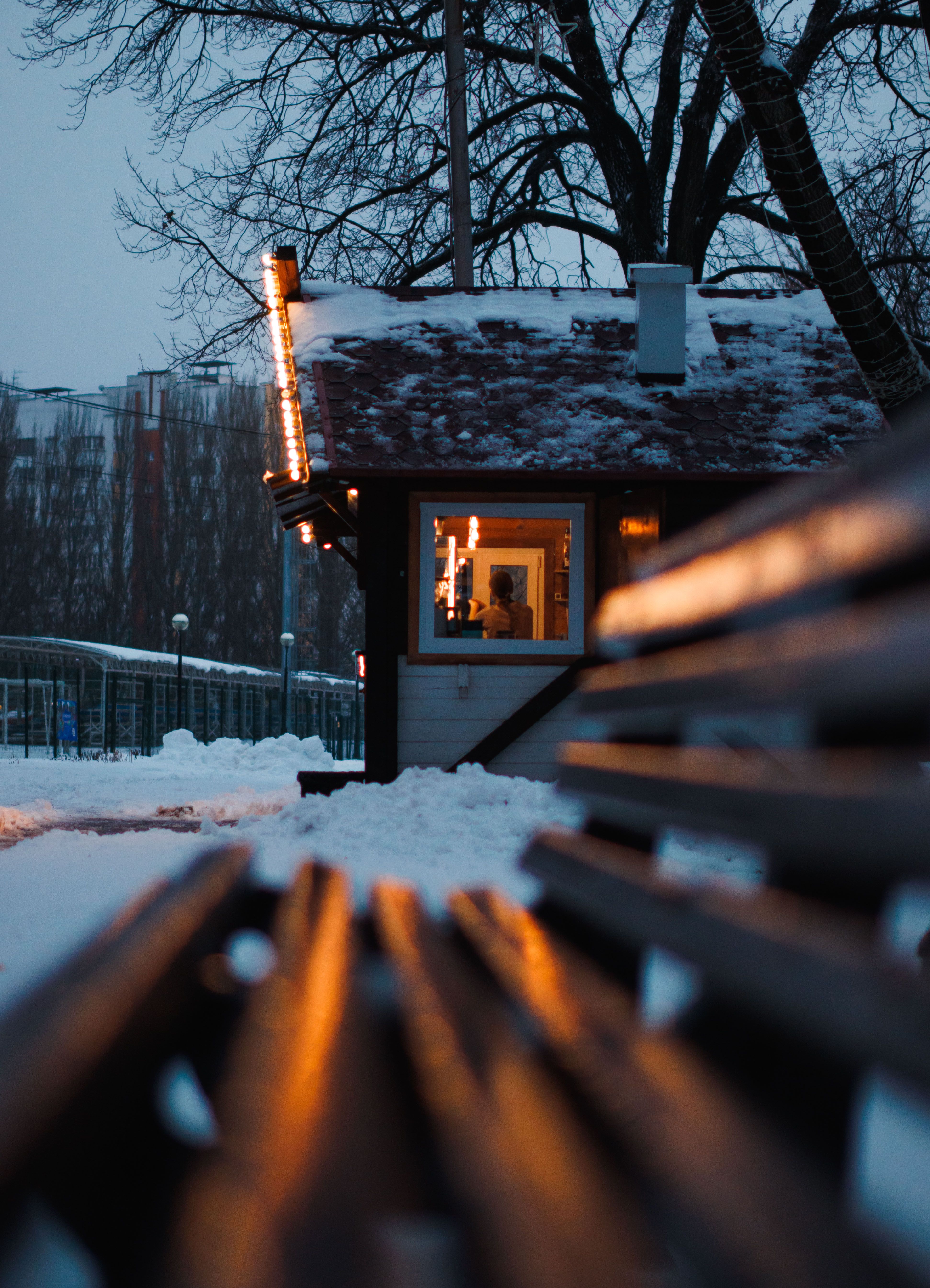 Winter Evening Scene in Baku with Festive Lights · Free Stock Photo