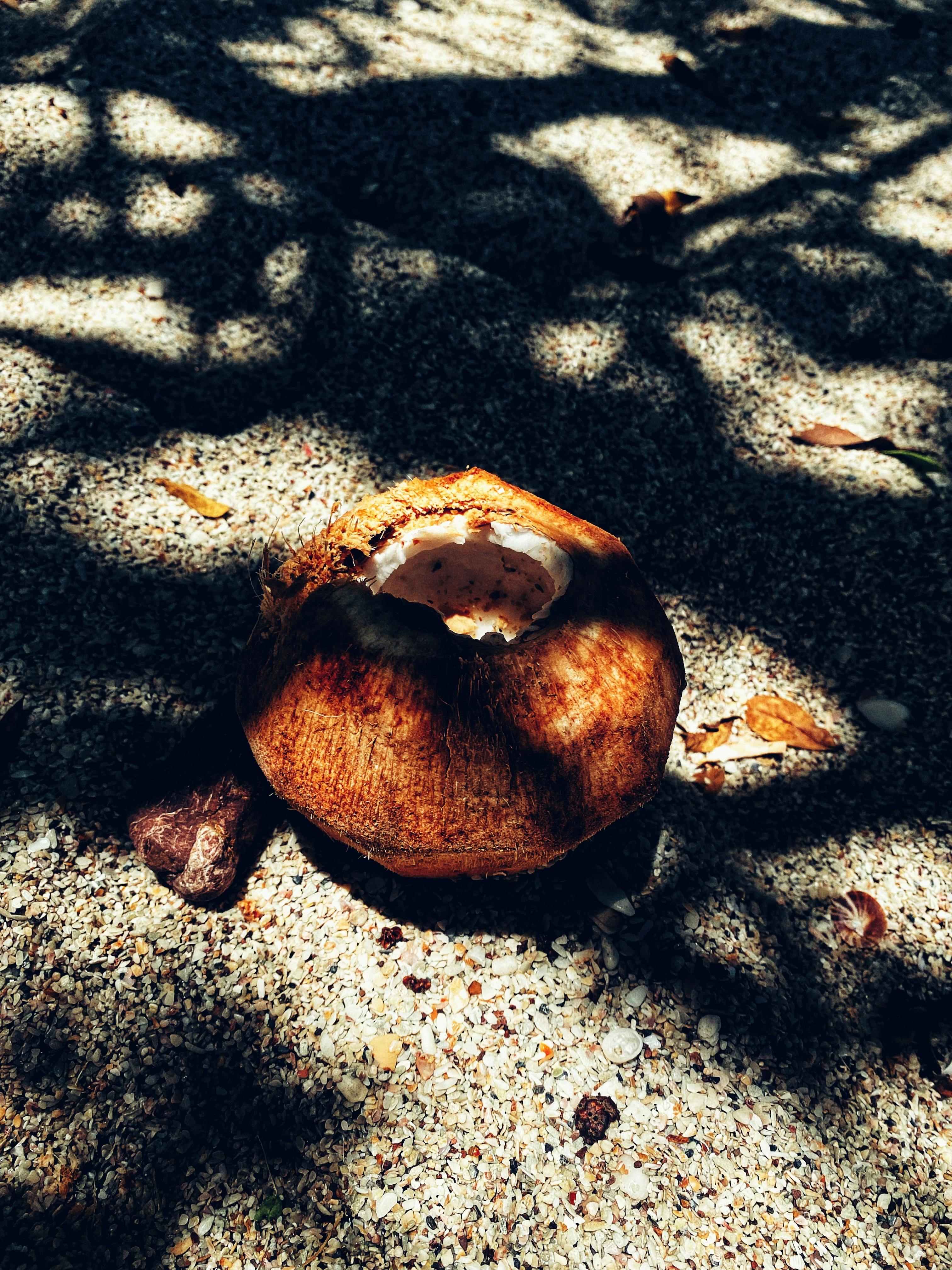 Mario Pais Cie – Fotografia