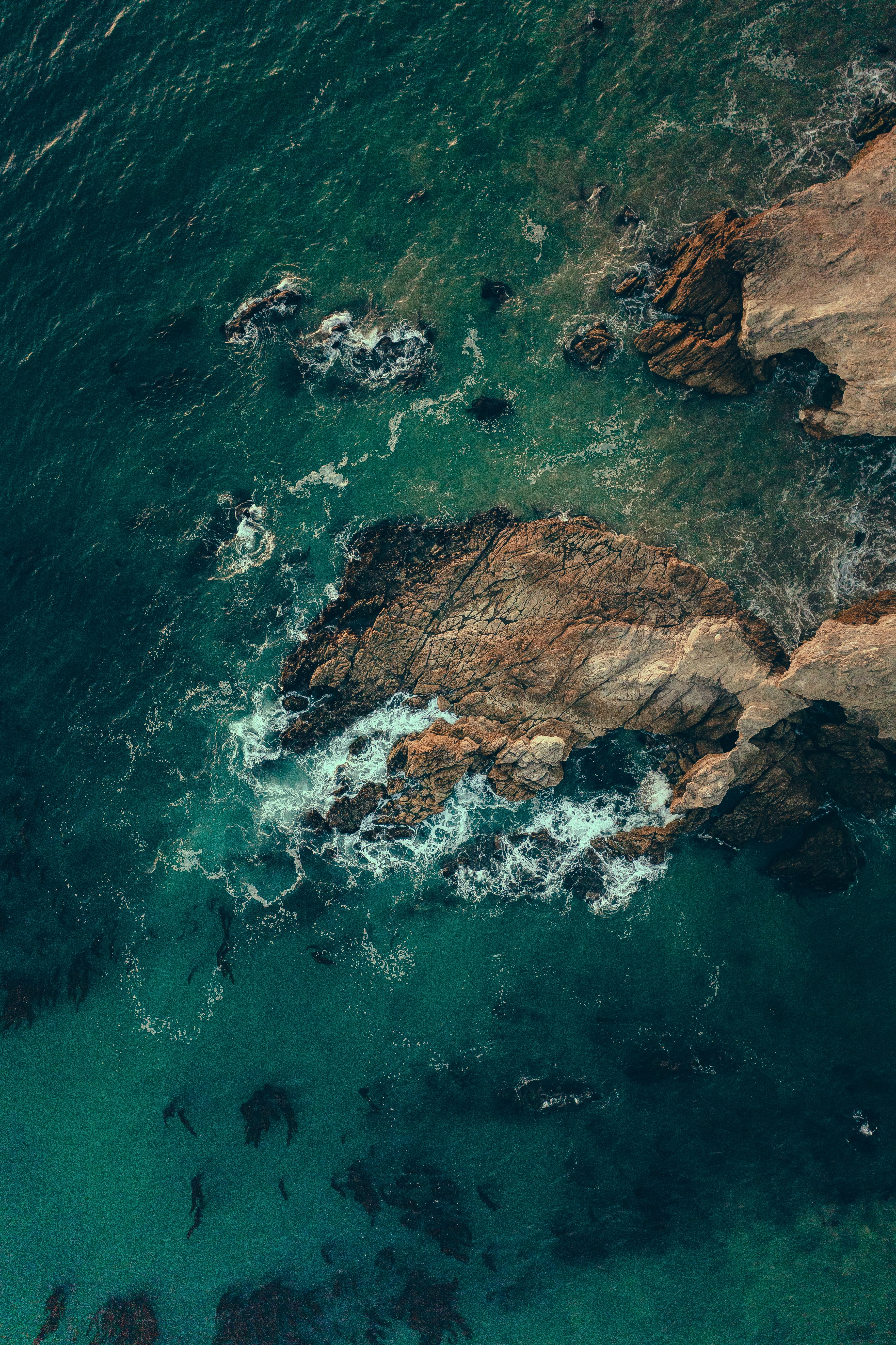 Aerial View of Seashore · Free Stock Photo