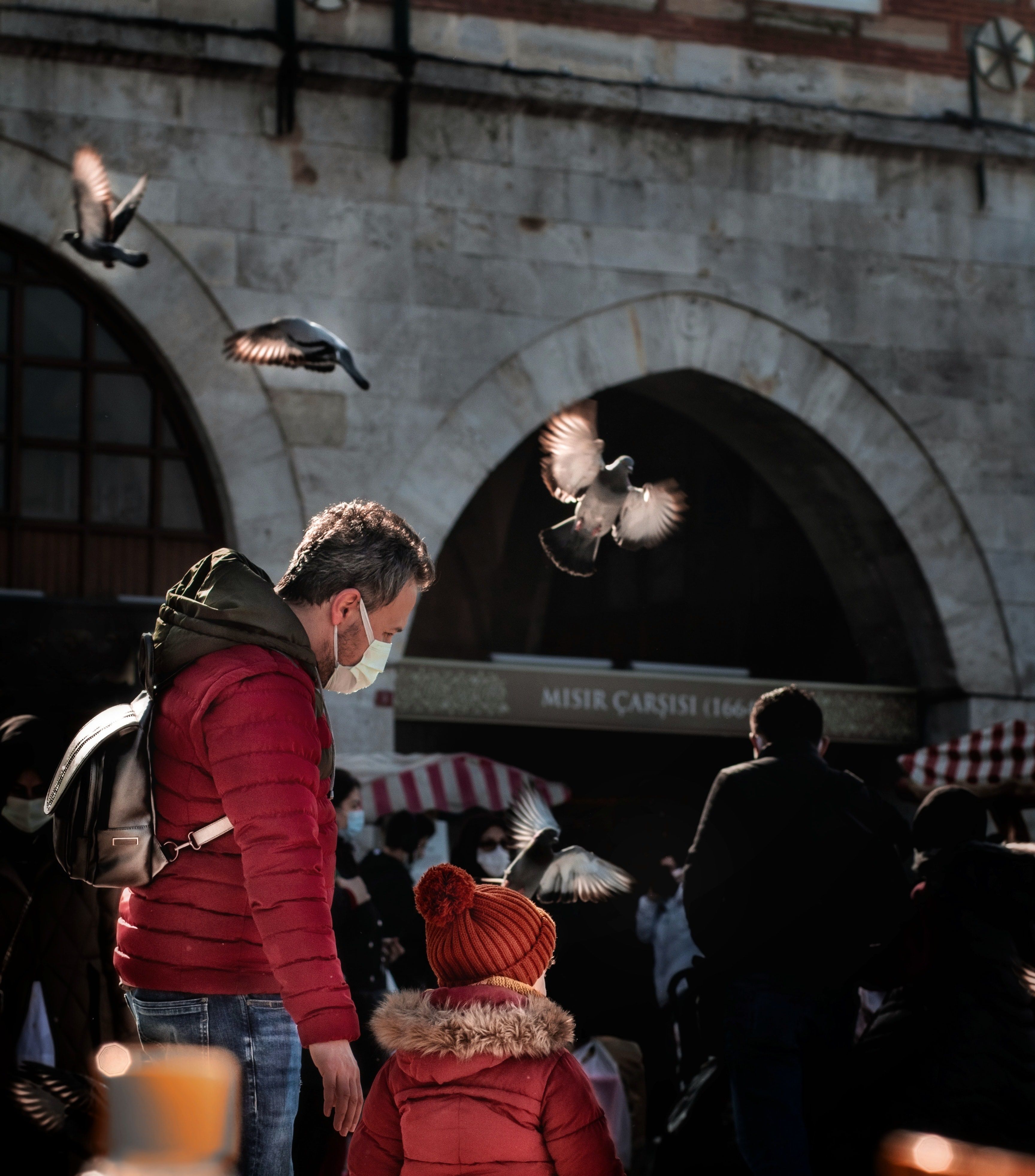 Father and Son Under Flying Pigeons · Free Stock Photo