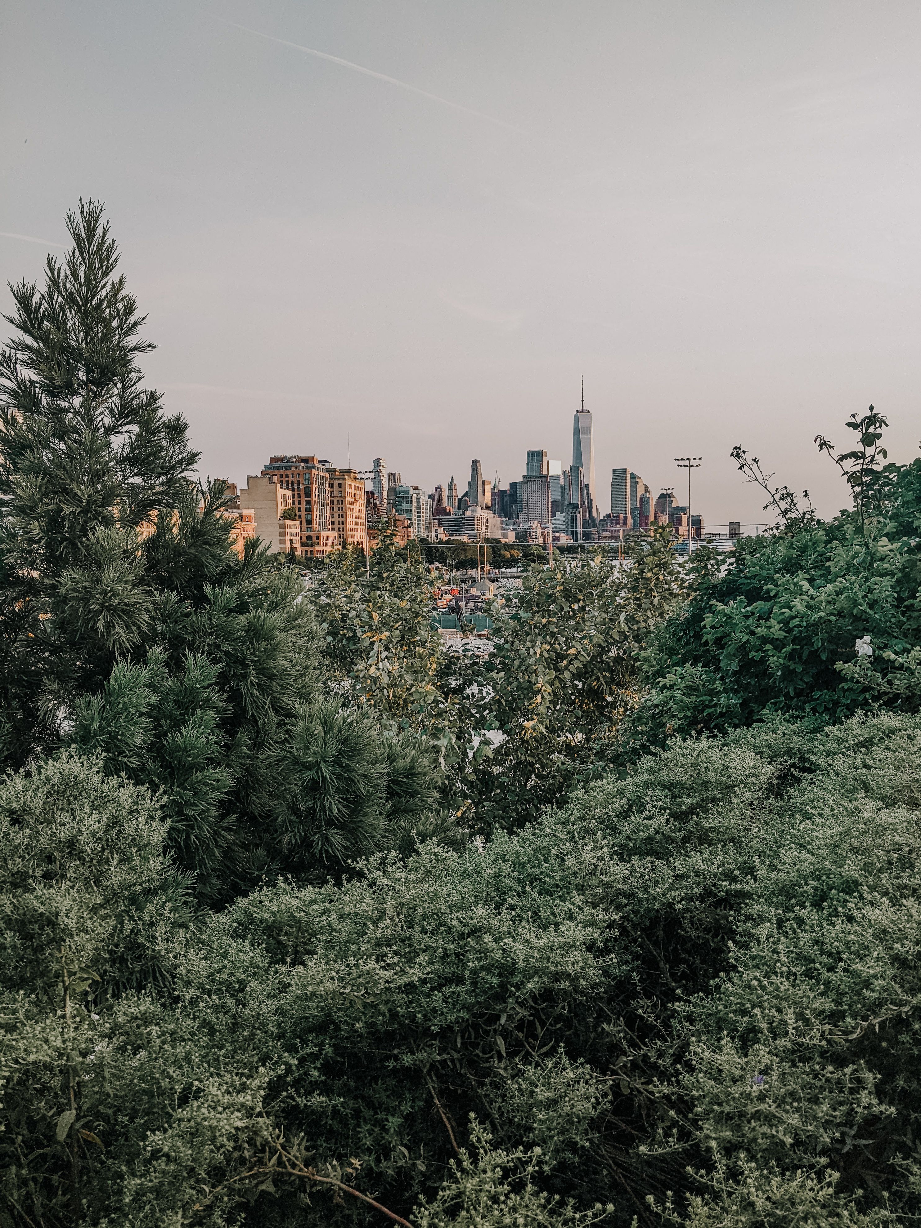 WTC See from Park · Free Stock Photo