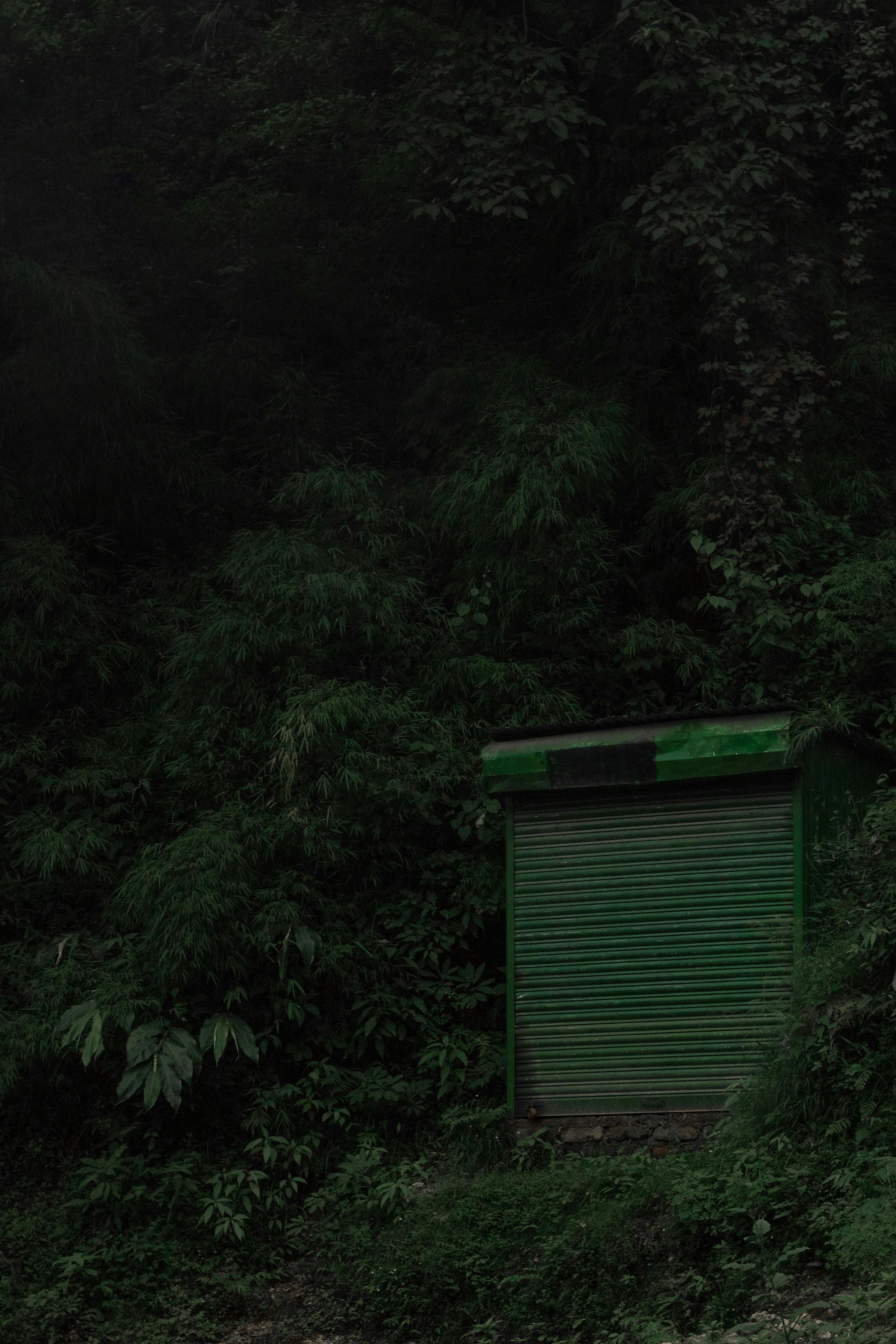 Wooden Green Shed and Trees · Free Stock Photo