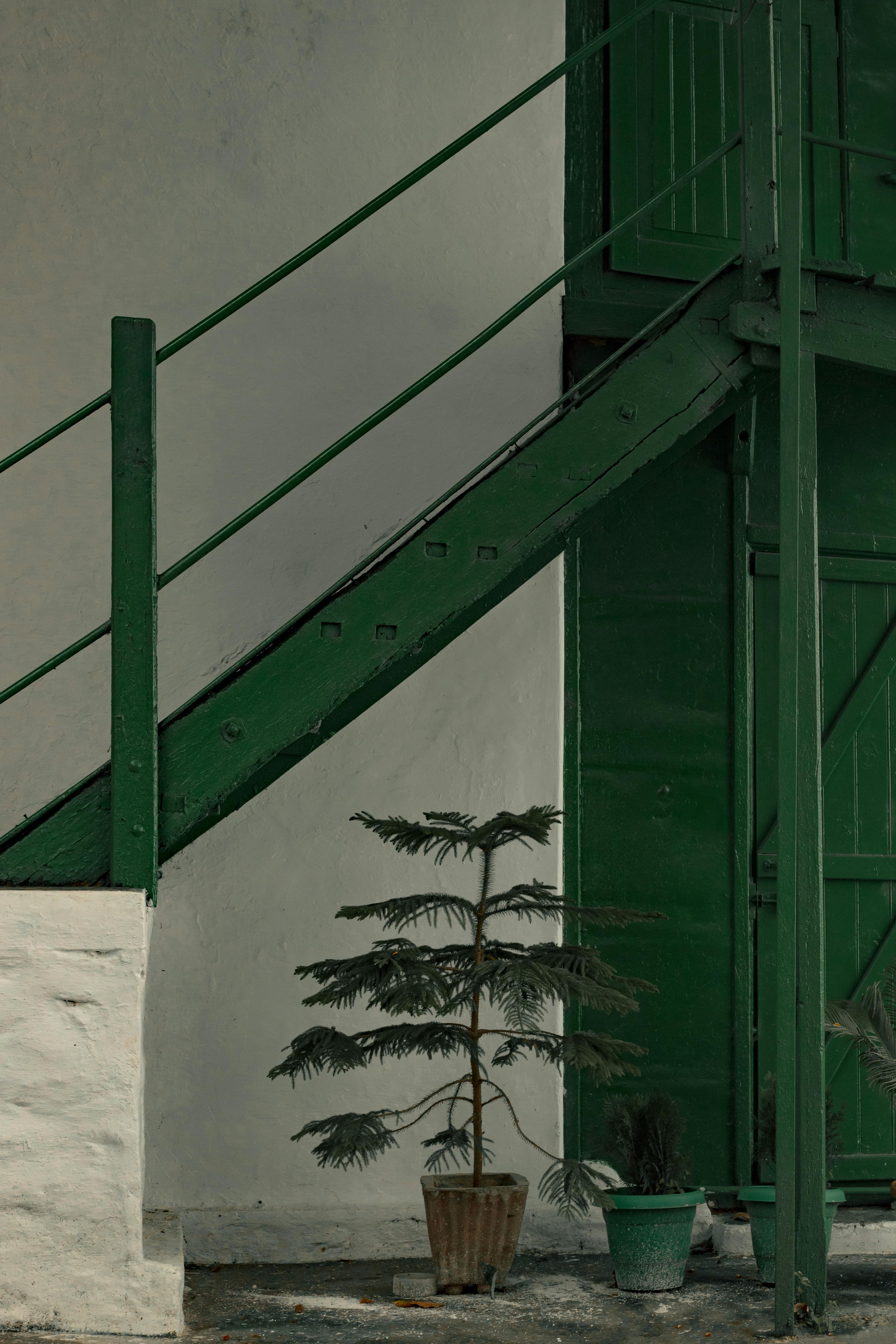 A Green Stairs with Metal Railings · Free Stock Photo