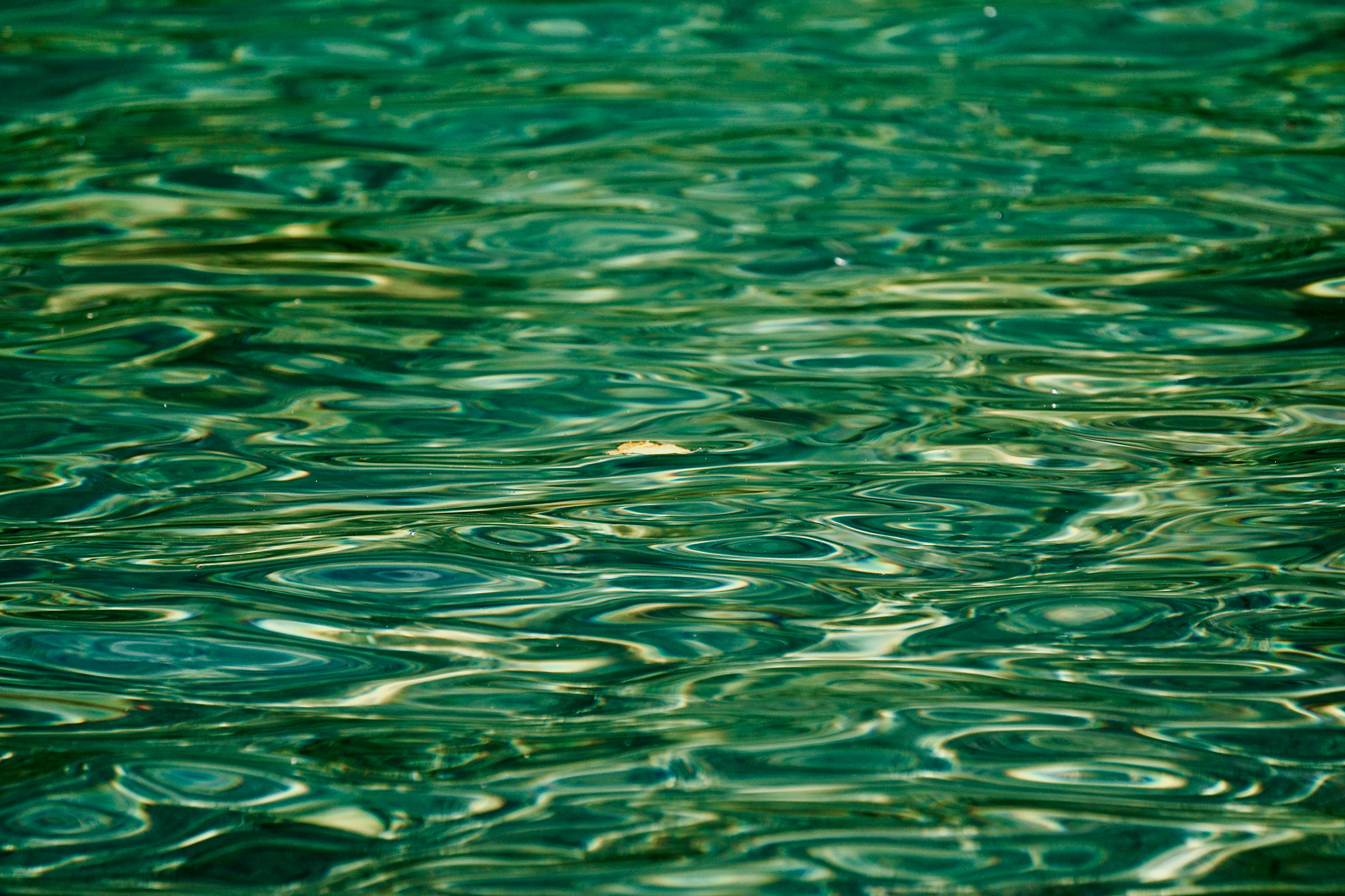 Water Surface Pattern · Free Stock Photo