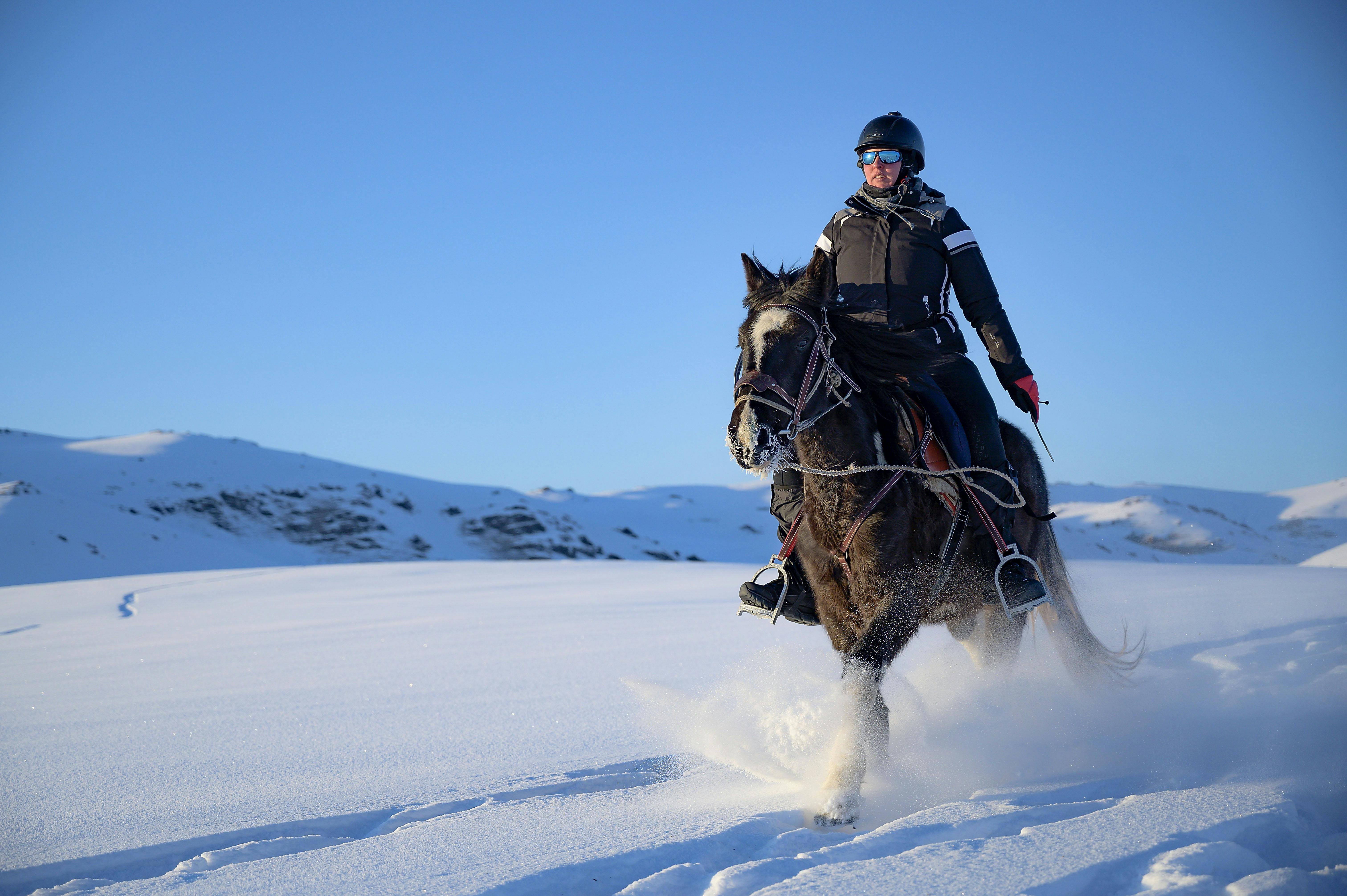 Man Horseback Riding on Snow Covered Ground · Free Stock Photo