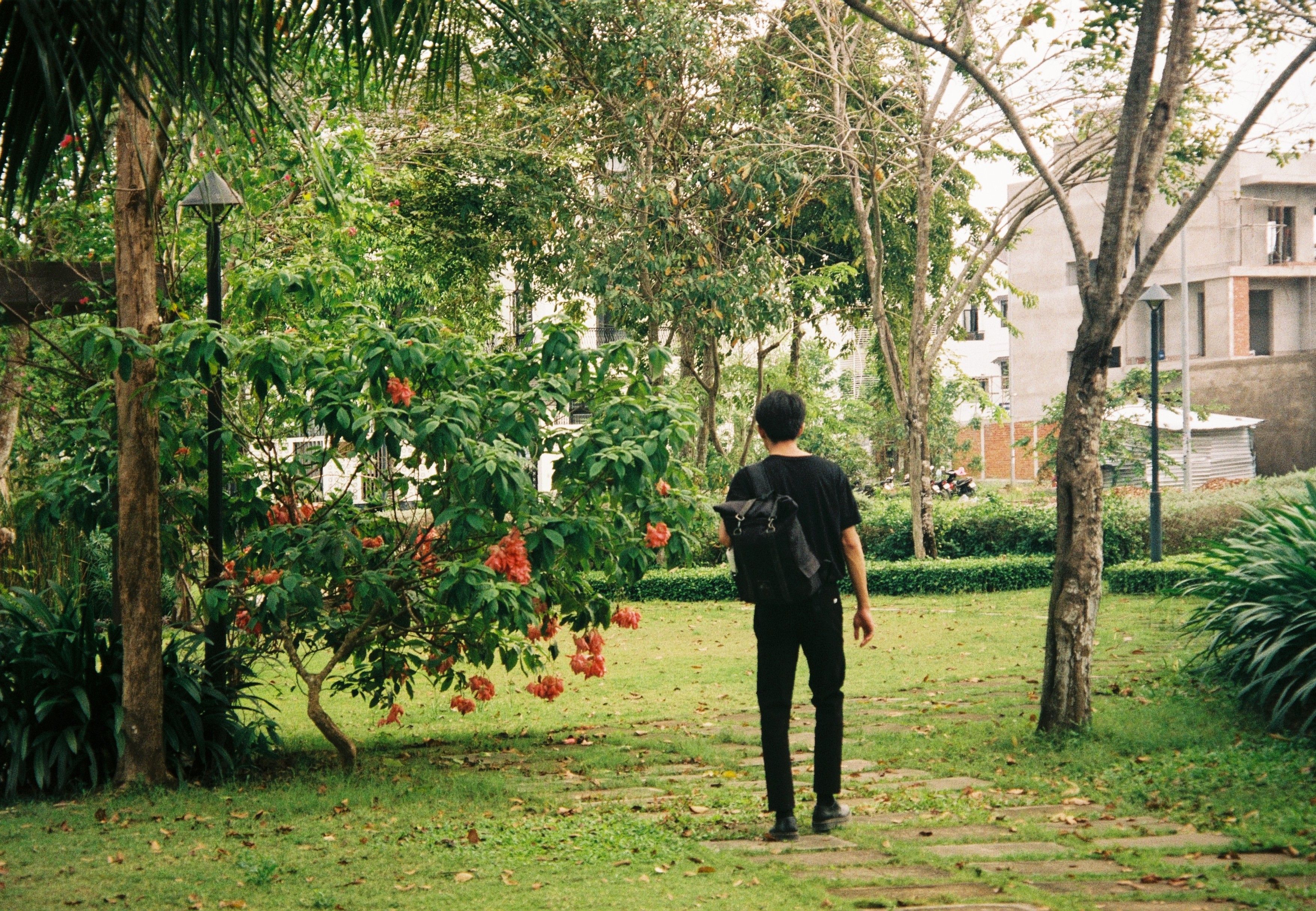 A Man Standing near Green Trees · Free Stock Photo
