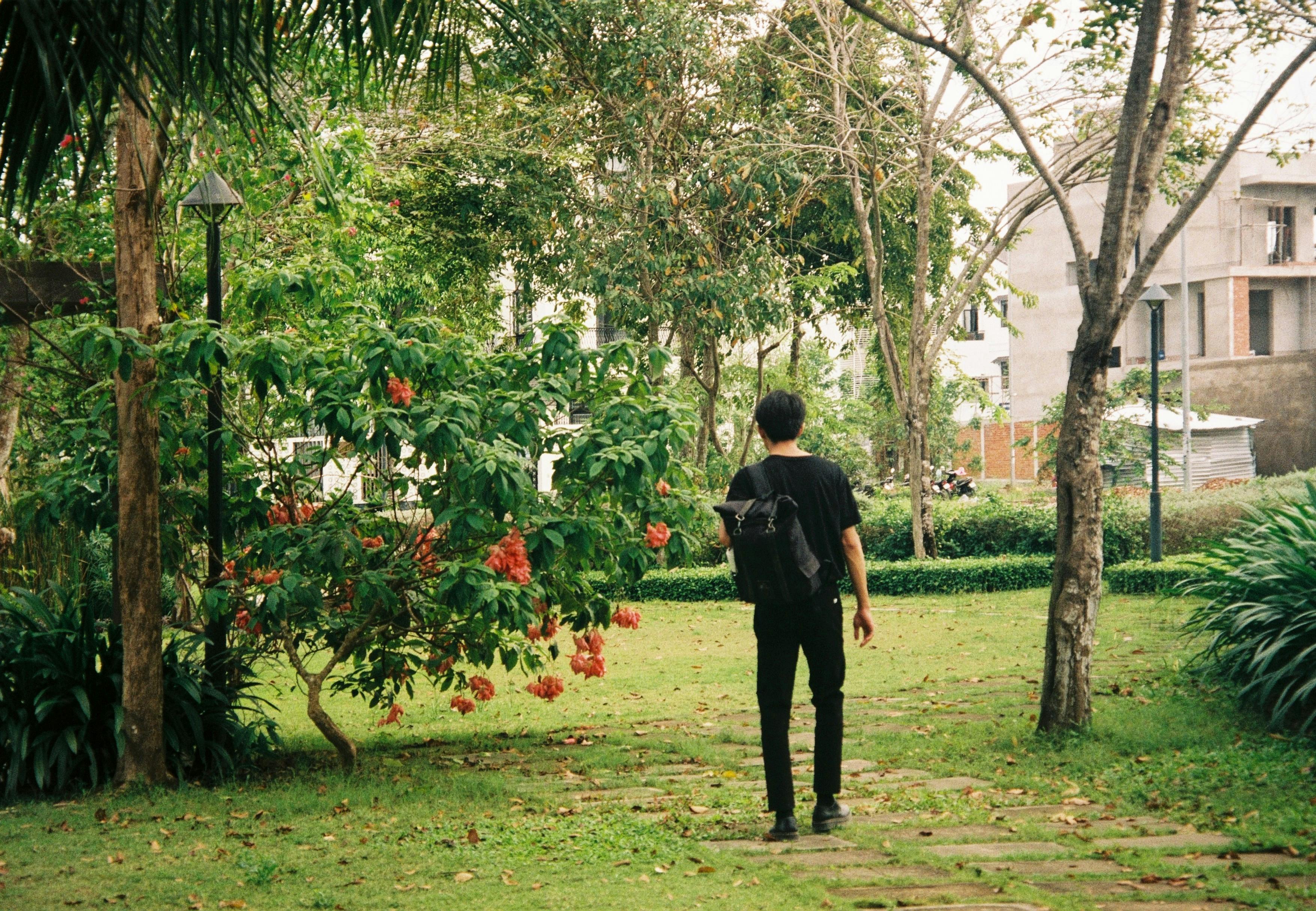 Back View of a Man Carrying a Backpack Standing Near Waterfalls · Free ...