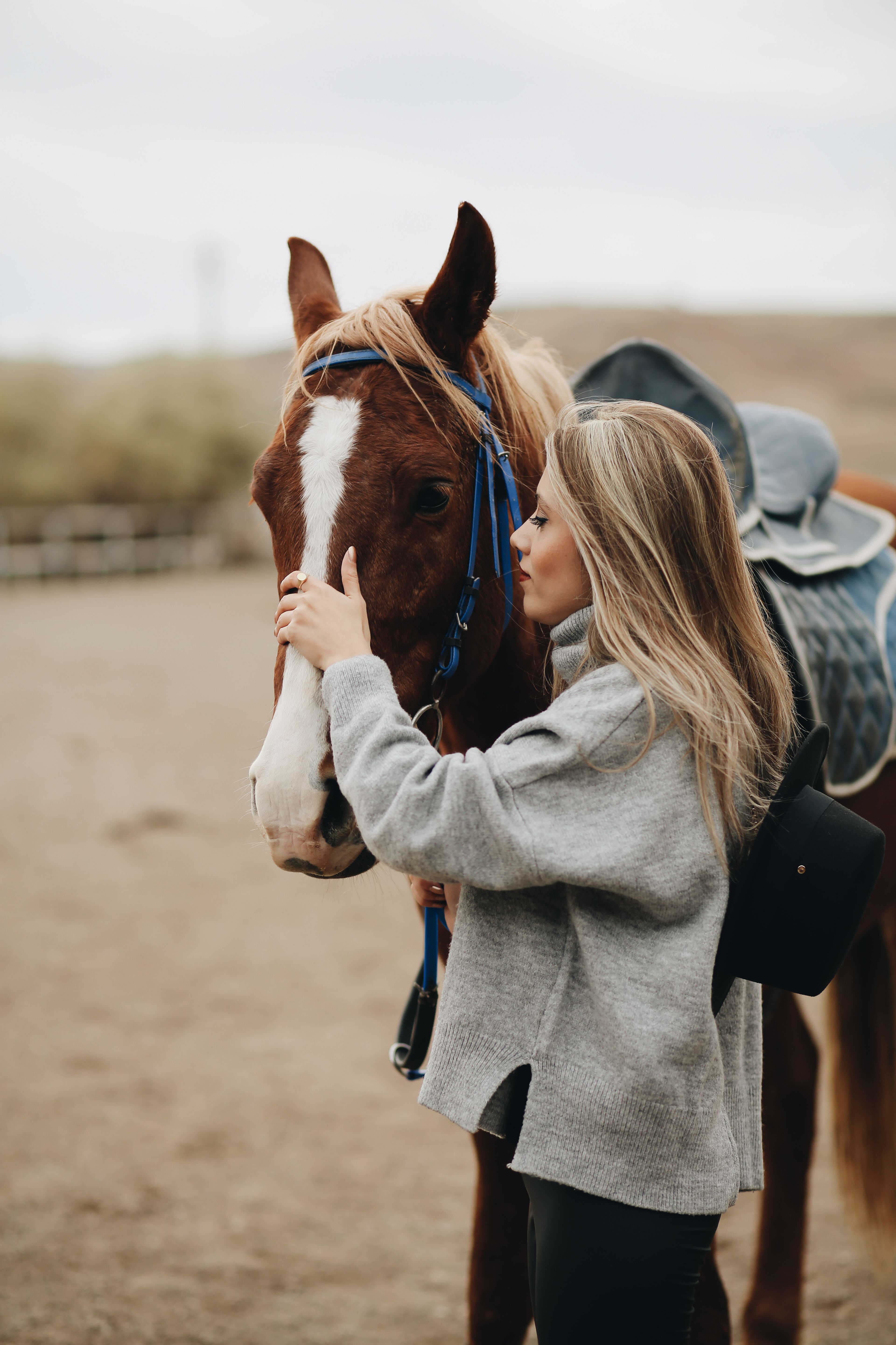 Stud Photos, Download The BEST Free Stud Stock Photos & HD Images