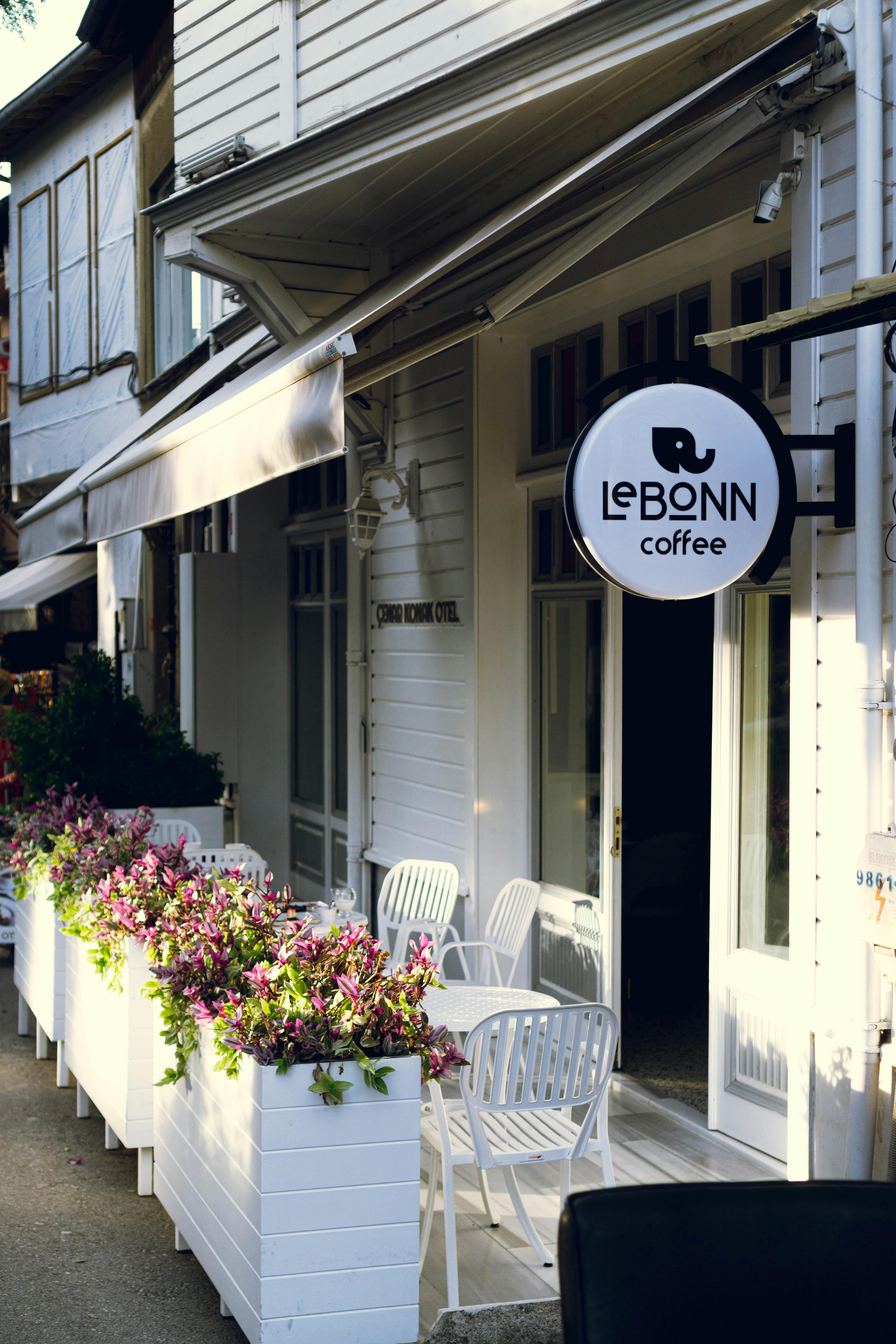 Chairs and Flowers in front of Cafe Entrance · Free Stock Photo