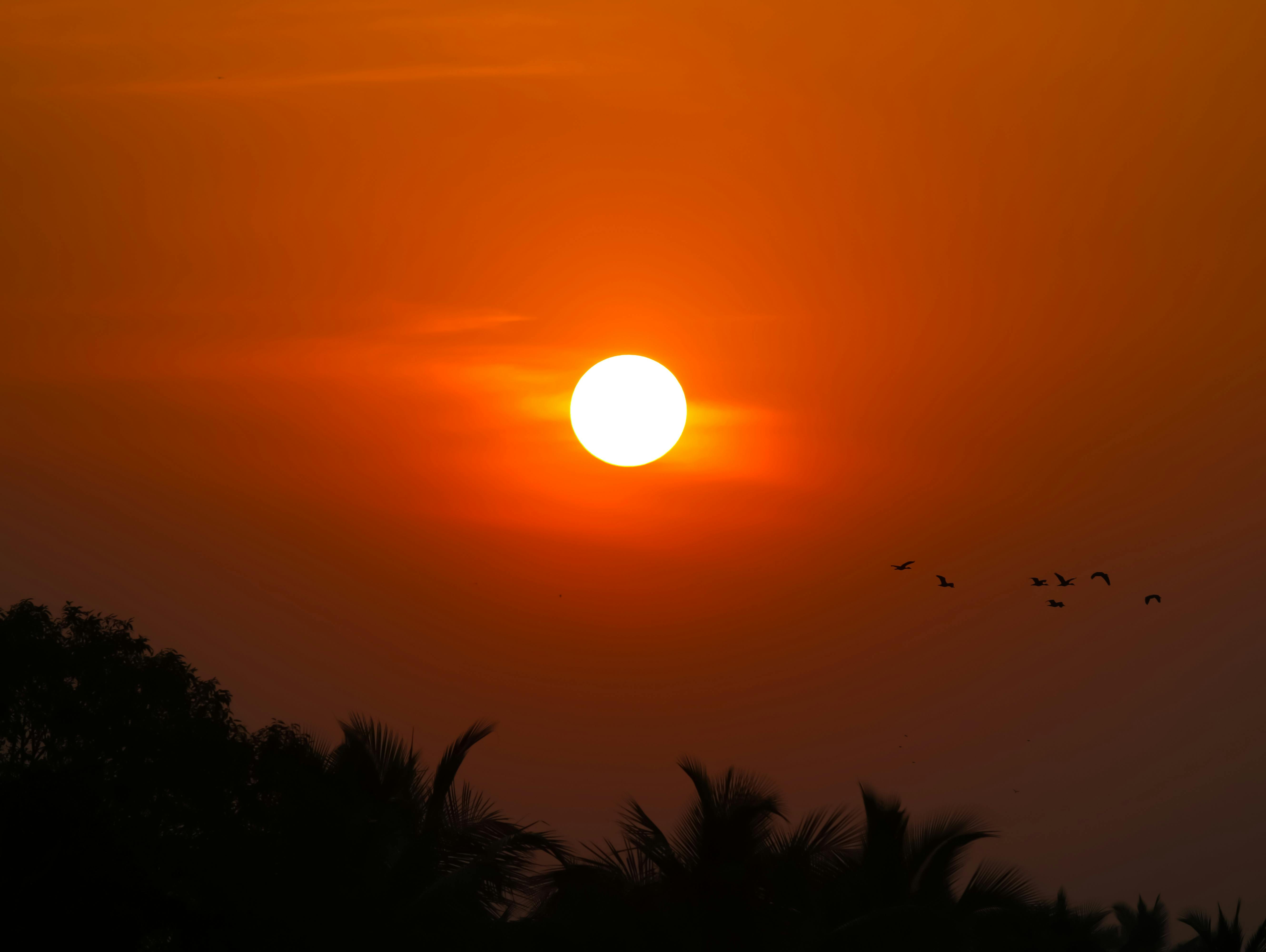 Sun Sat Wallpaper Photos, Download The BEST Free Sun Sat Wallpaper ...