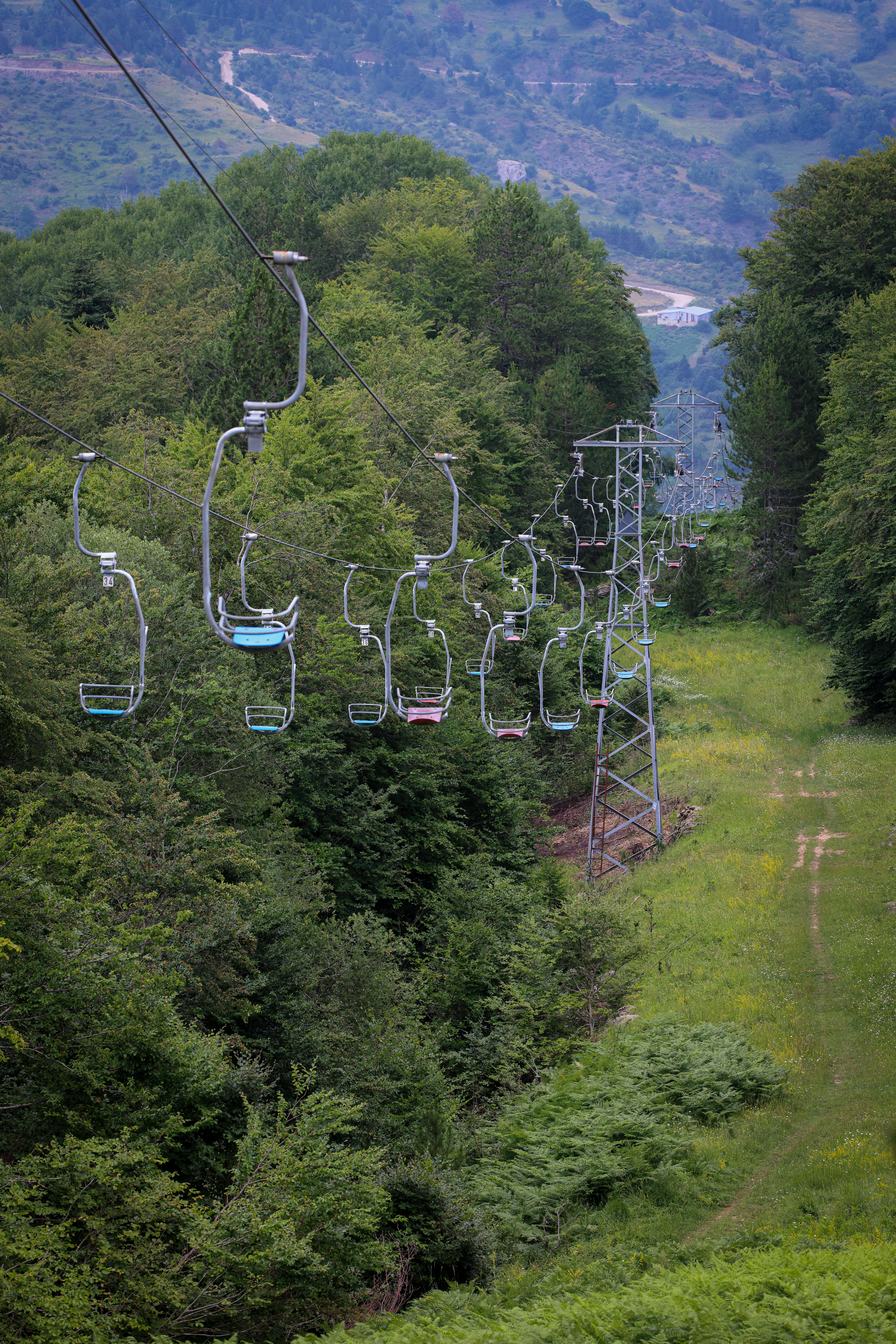 Cable Cars over Forest · Free Stock Photo