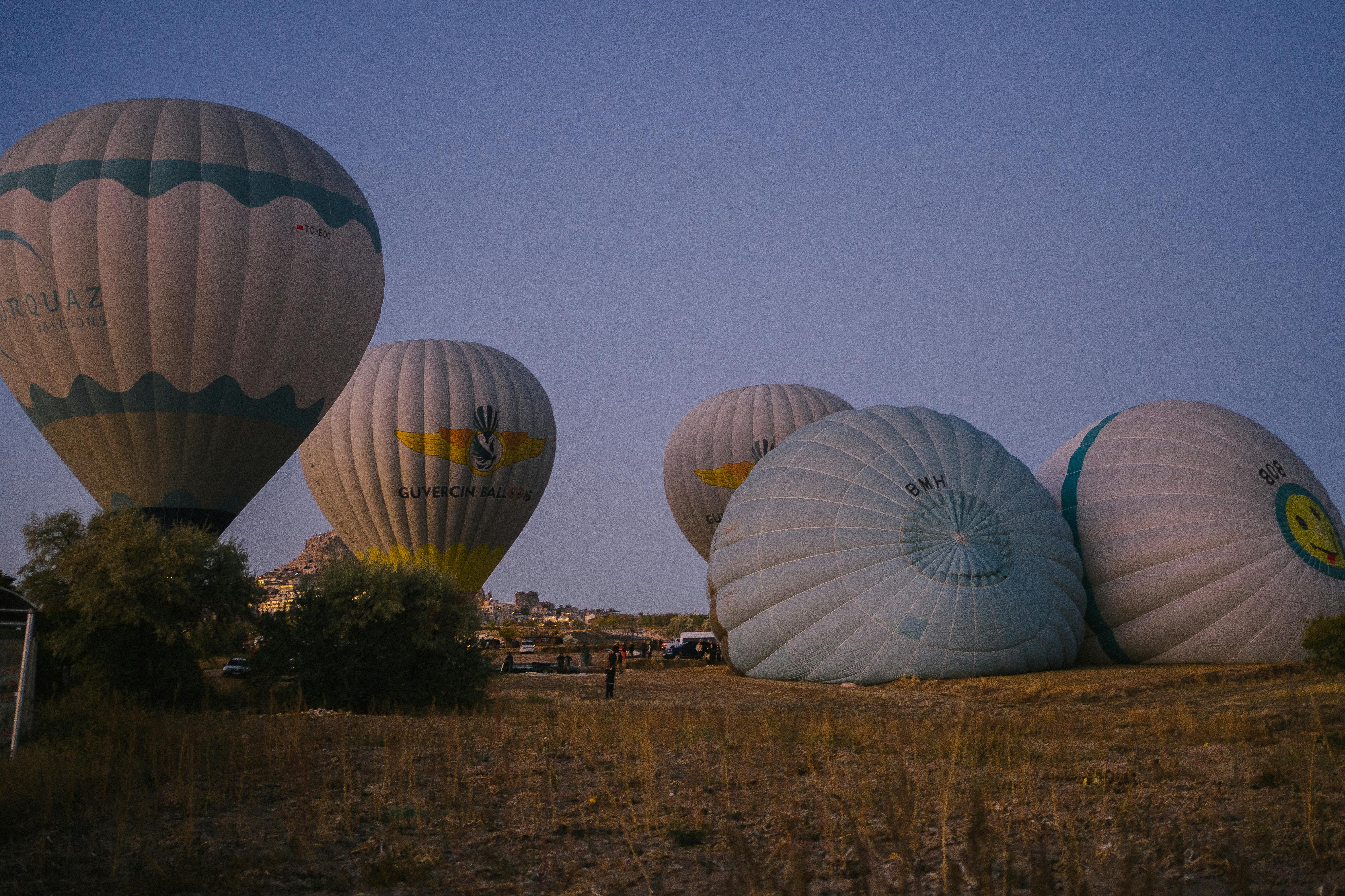 Hot Air Balloons on a Field · Free Stock Photo