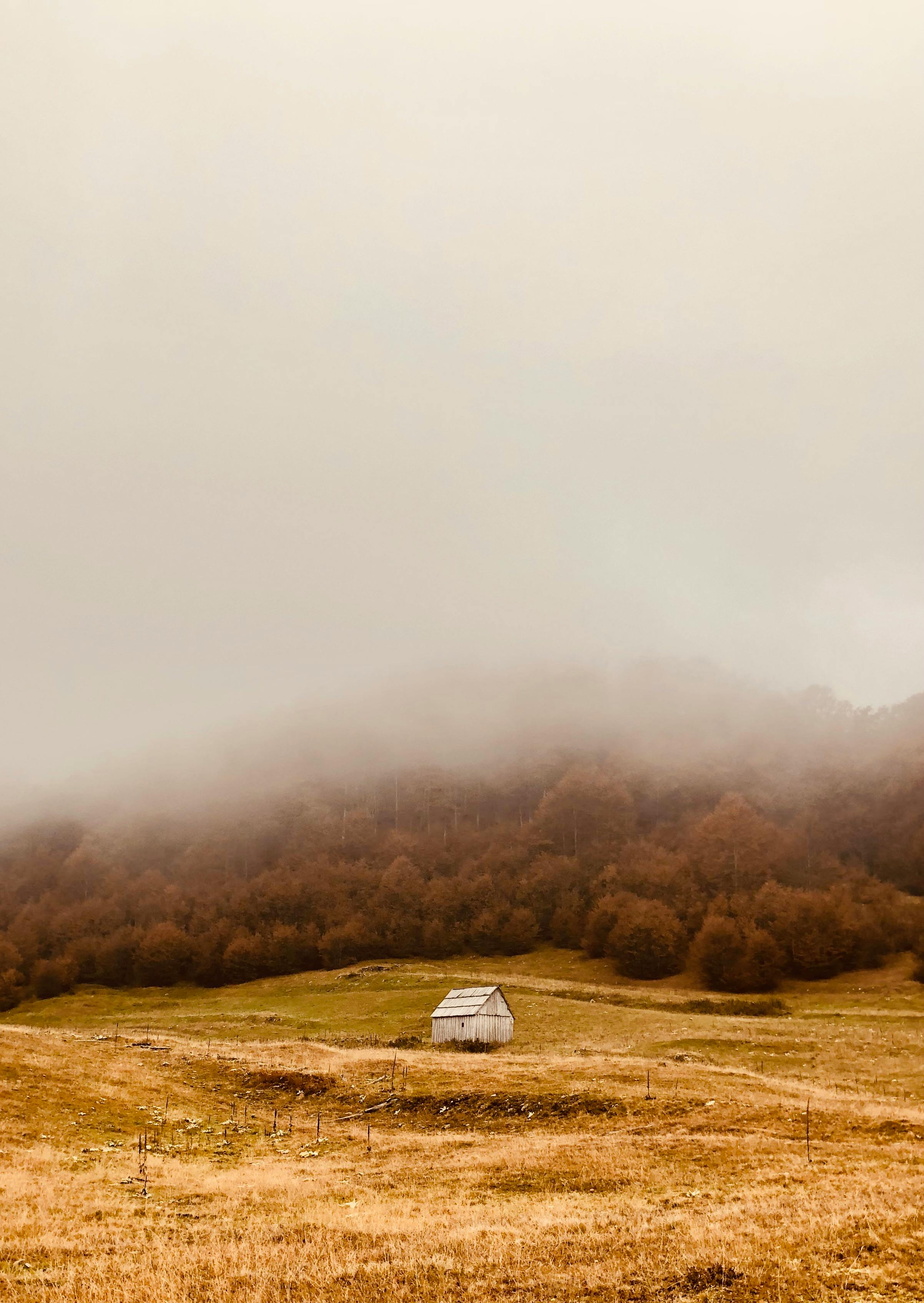 White House on Grass Field on Foggy Sky · Free Stock Photo
