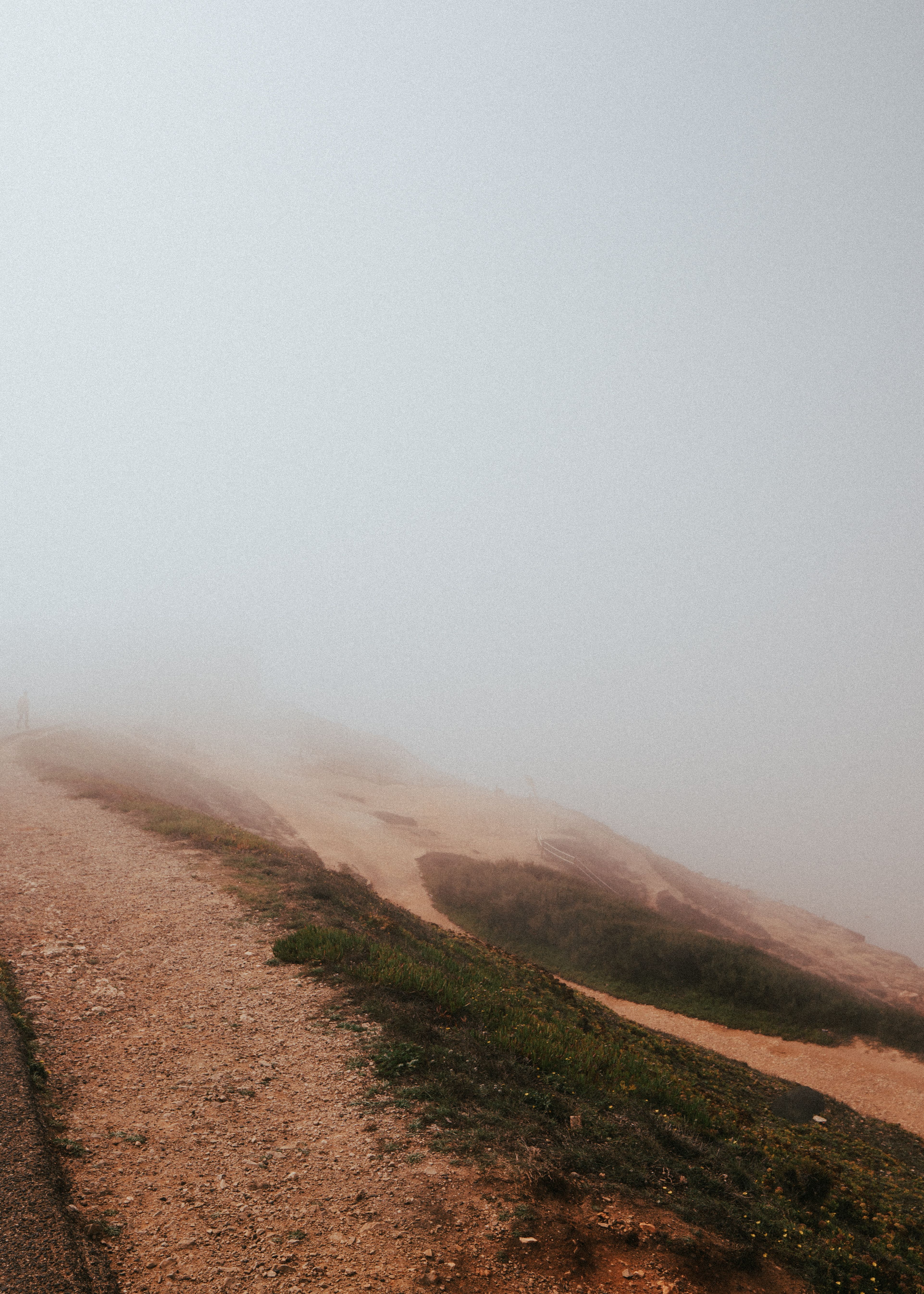 Foggy Road · Free Stock Photo