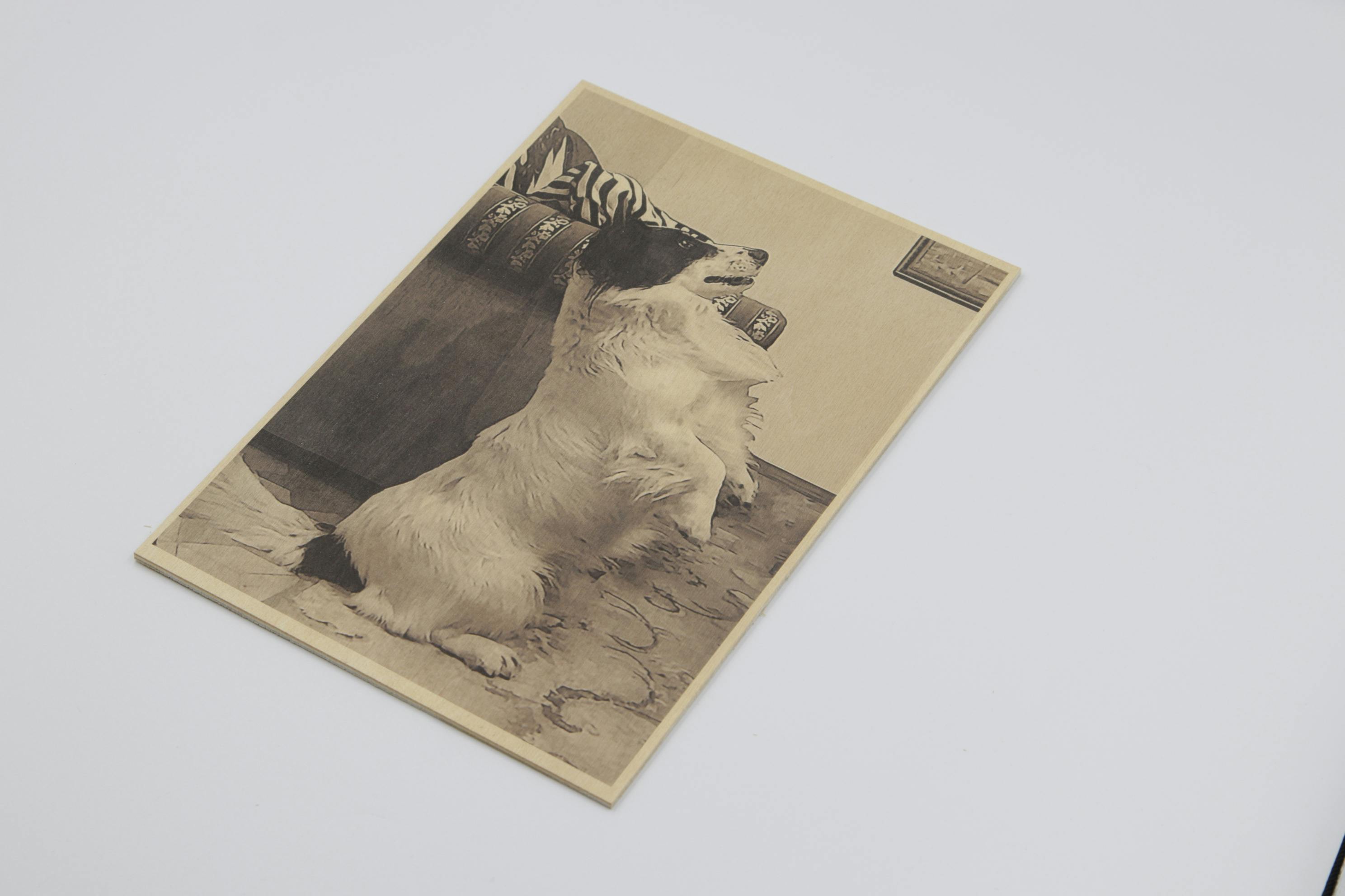 Opt Lasers from Poland - 摄影