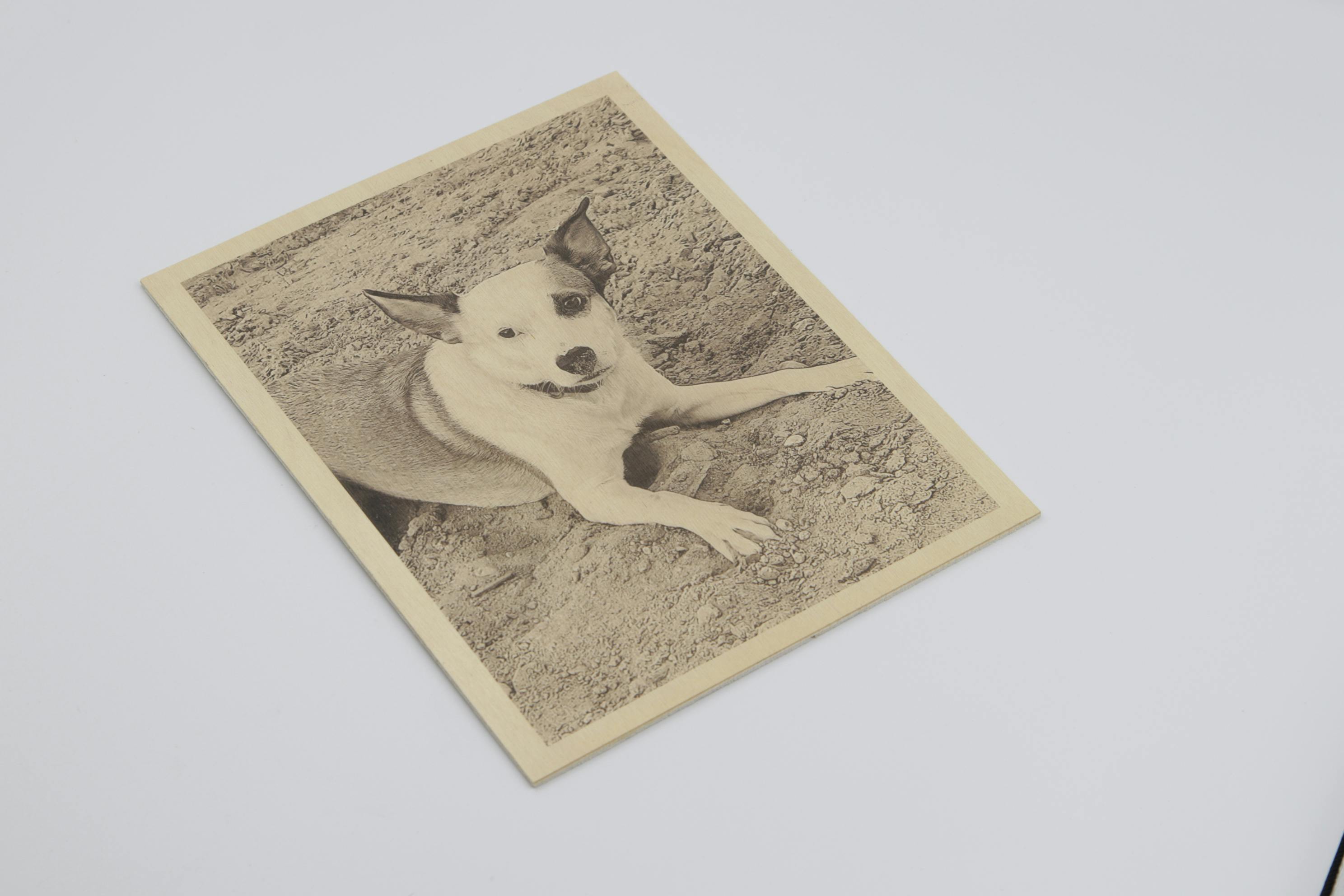 Opt Lasers from Poland - Photography