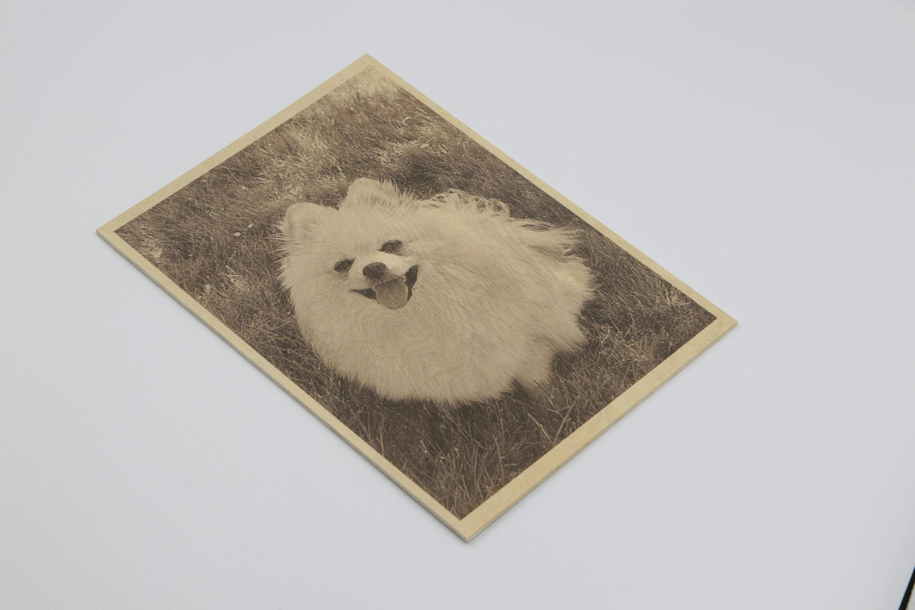 Opt Lasers from Poland - 摄影