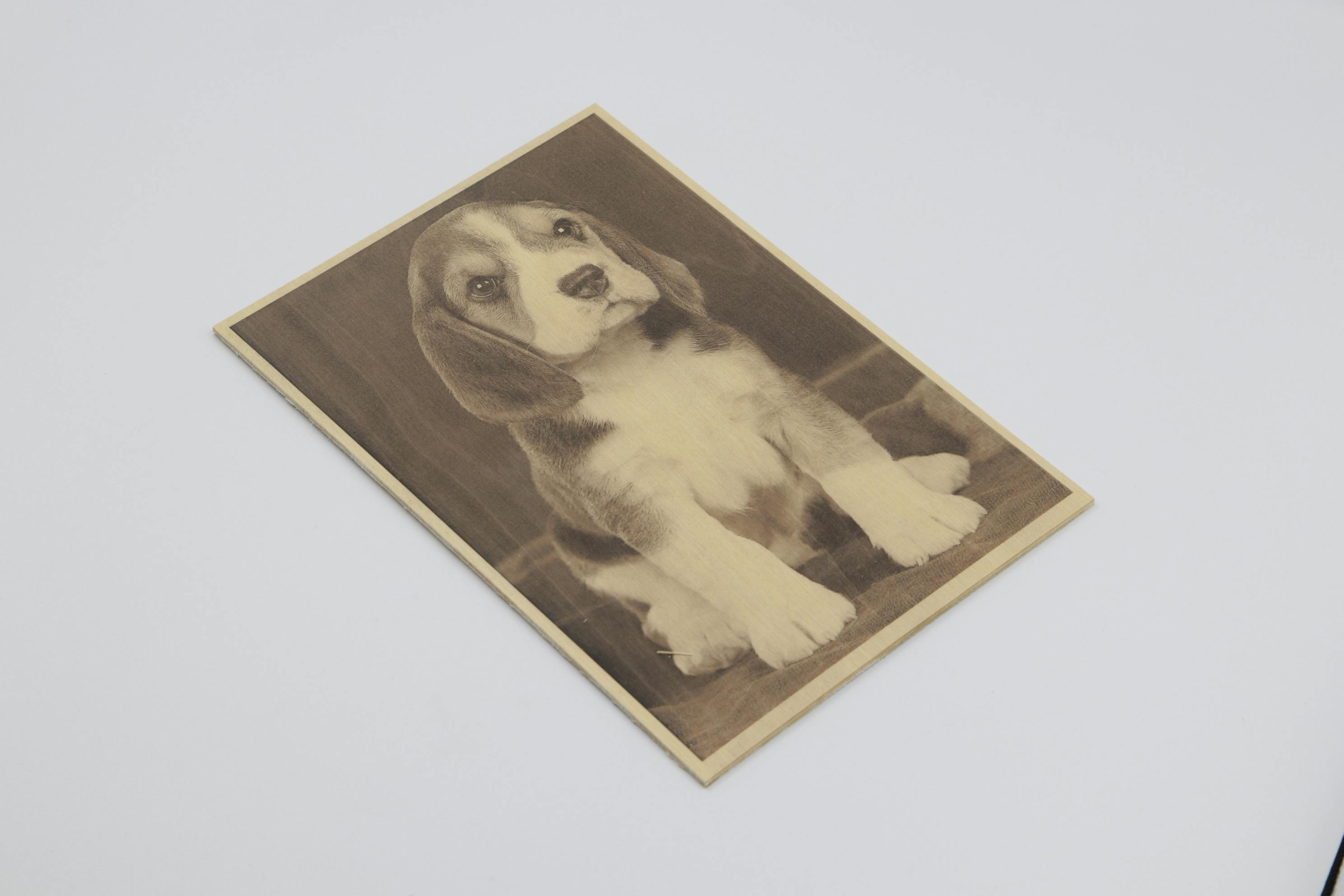 Opt Lasers from Poland - Fotoğrafçılık