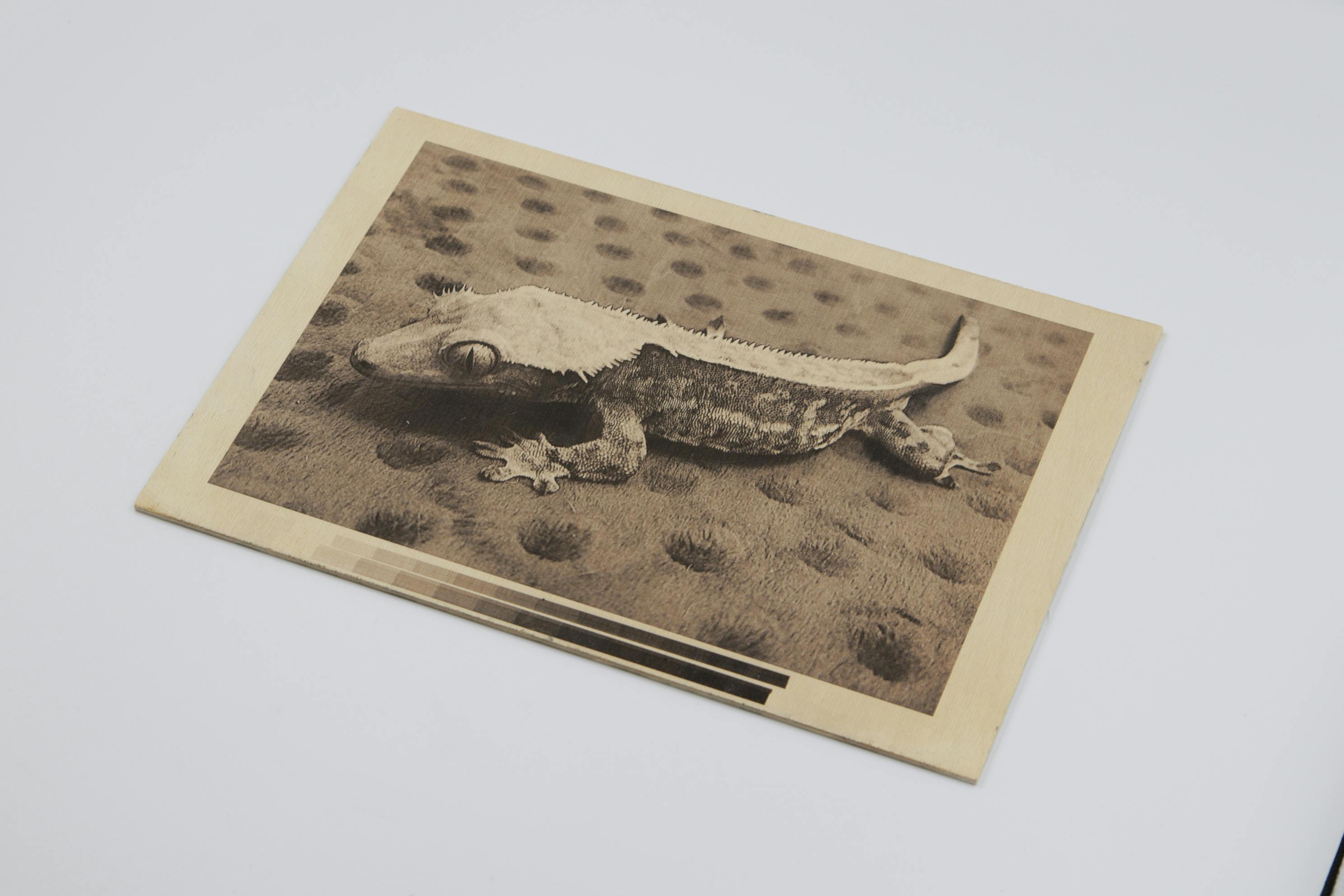 Opt Lasers from Poland - Fotoğrafçılık