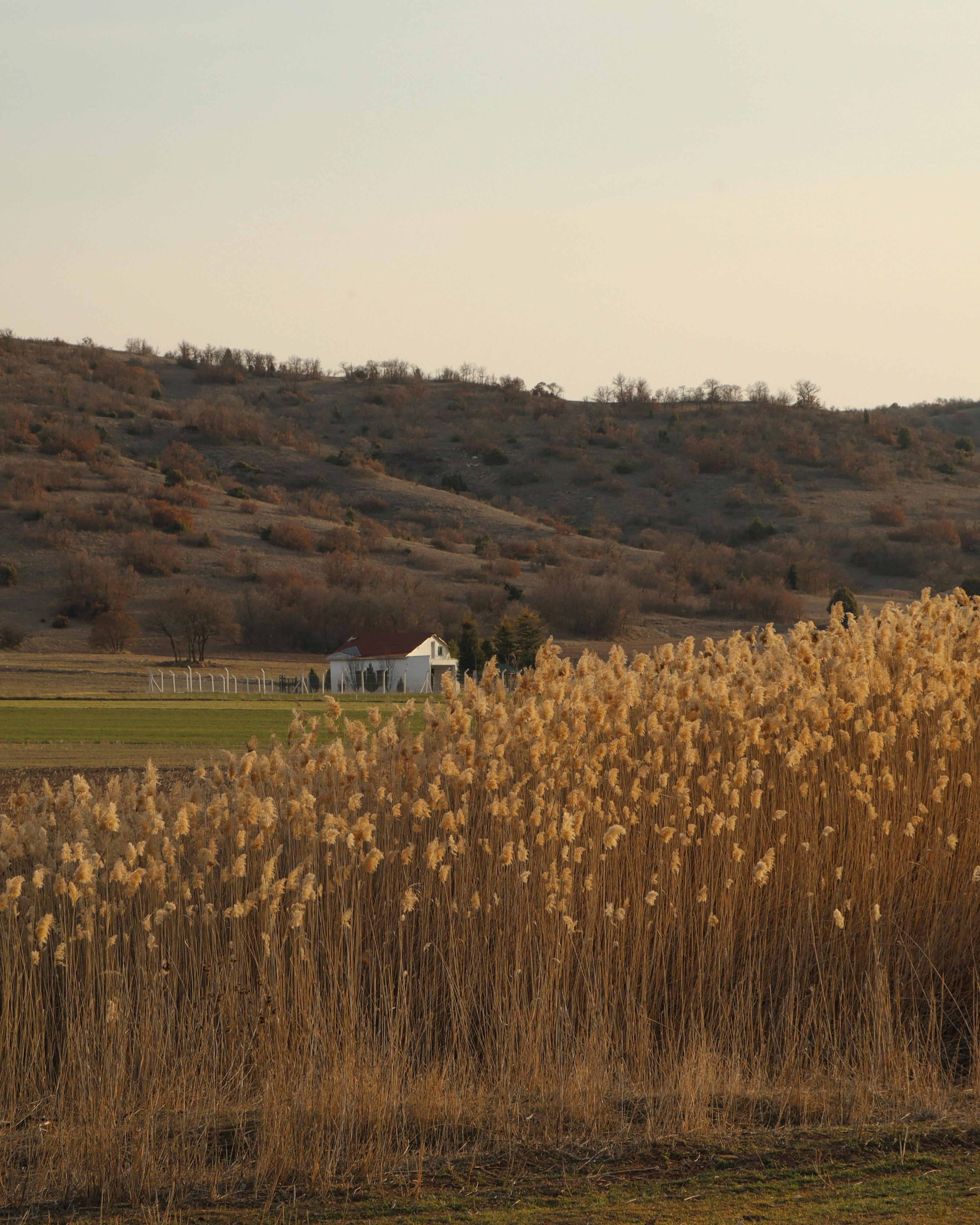 Thump Mountain Photos, Download Free Thump Mountain Stock Photos & HD ...