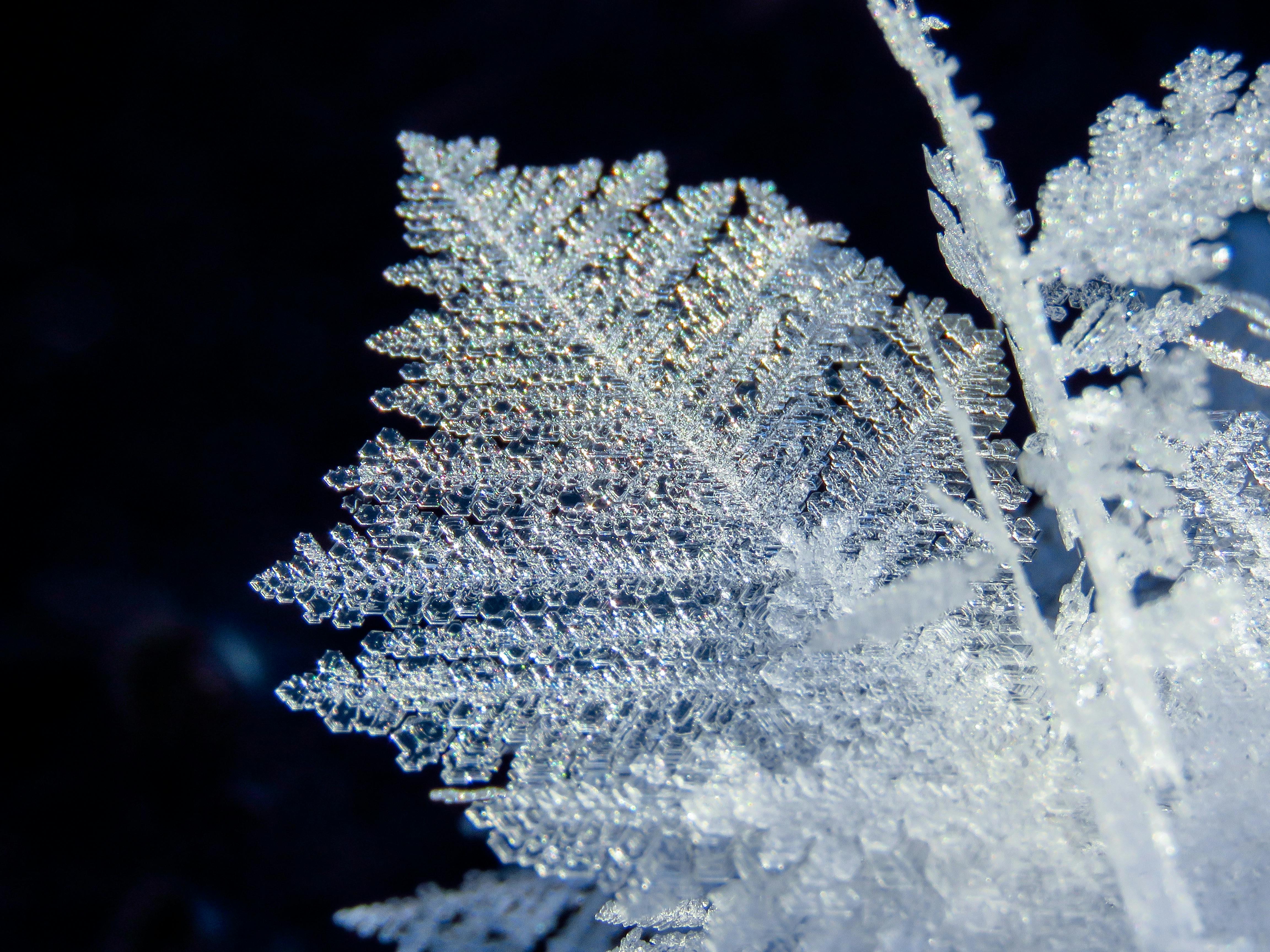 Close up of Snowflake · Free Stock Photo