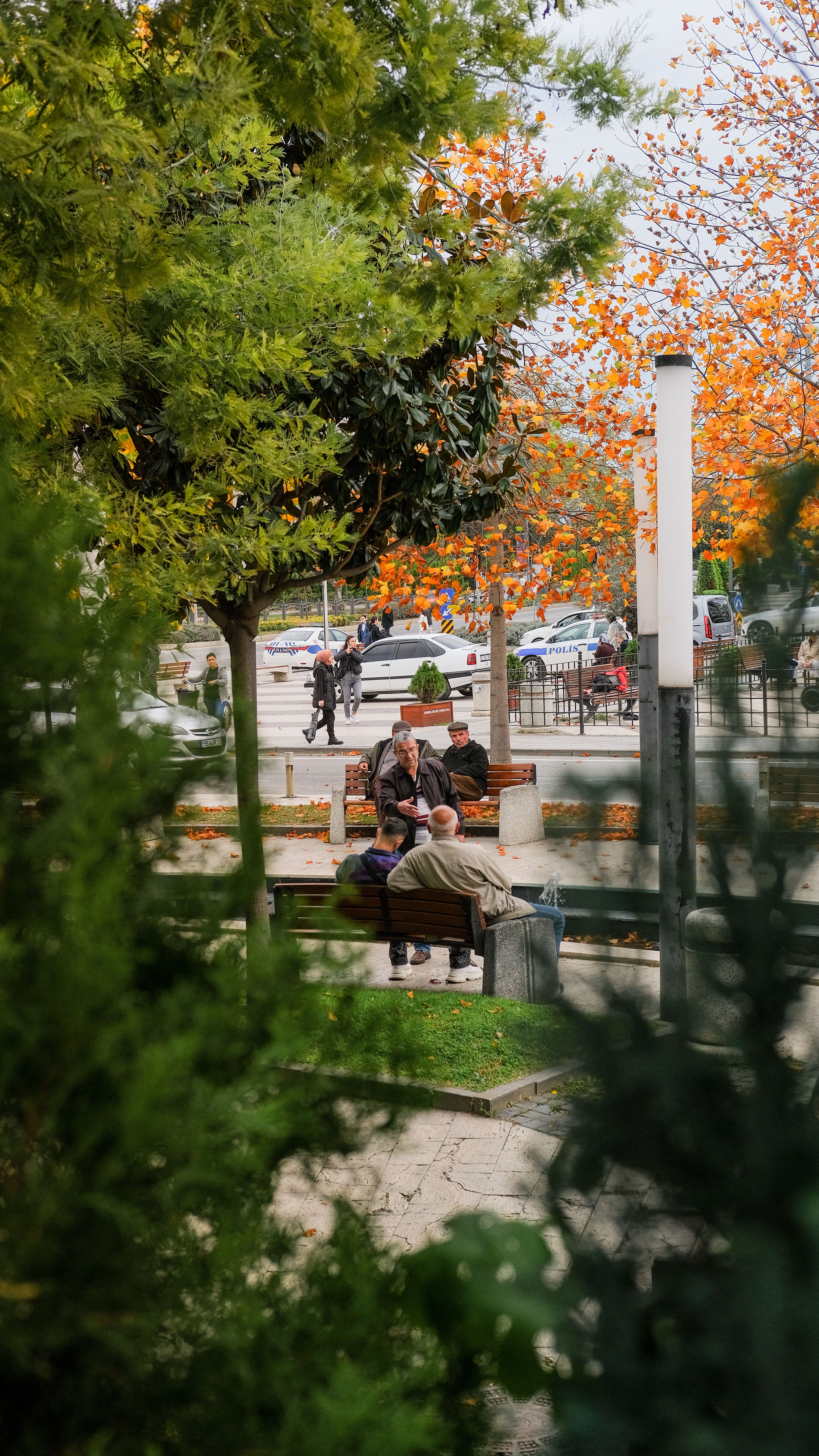 People Sitting on Benches · Free Stock Photo