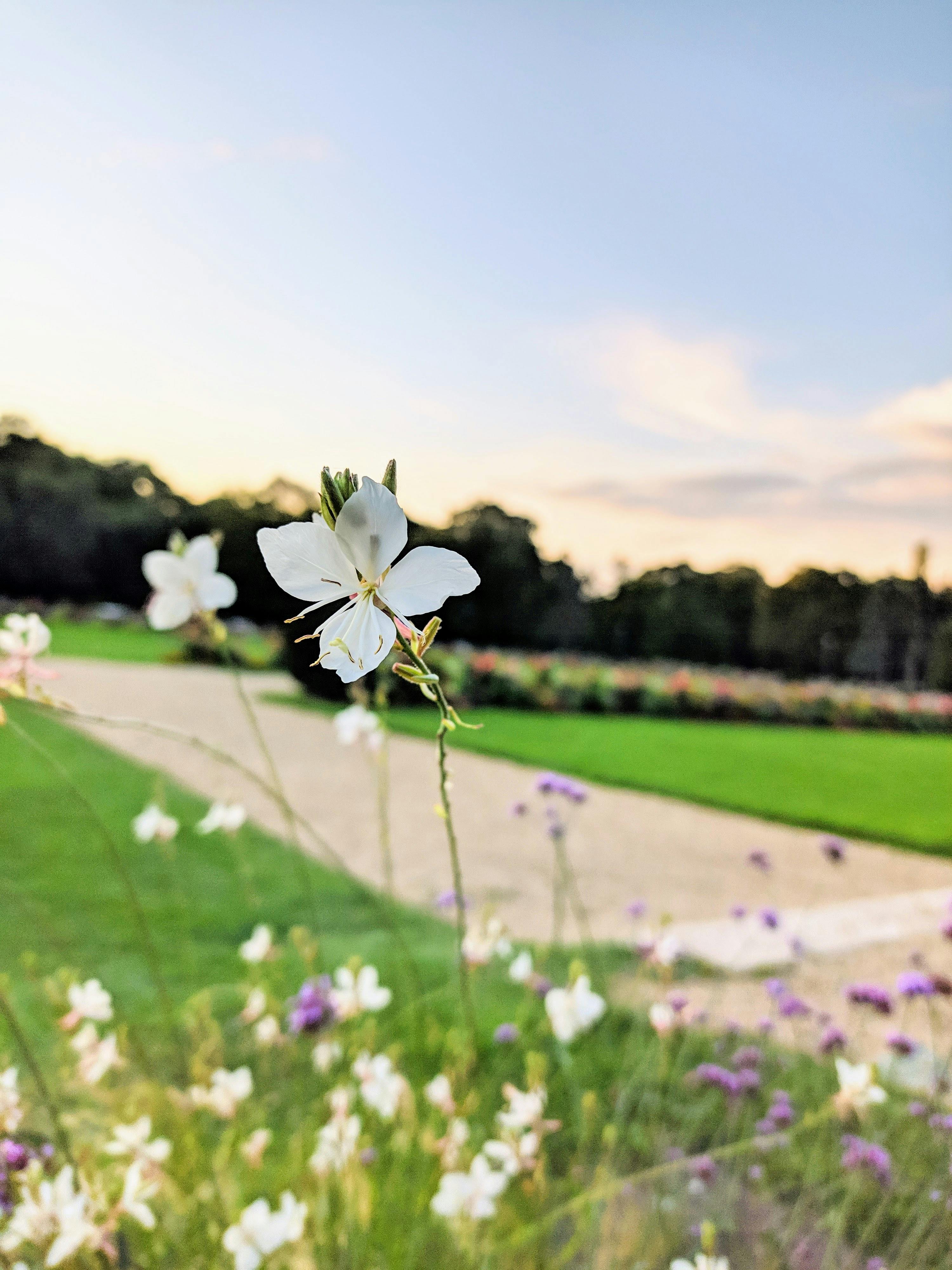 Éva Rebeka Bíró - 사진