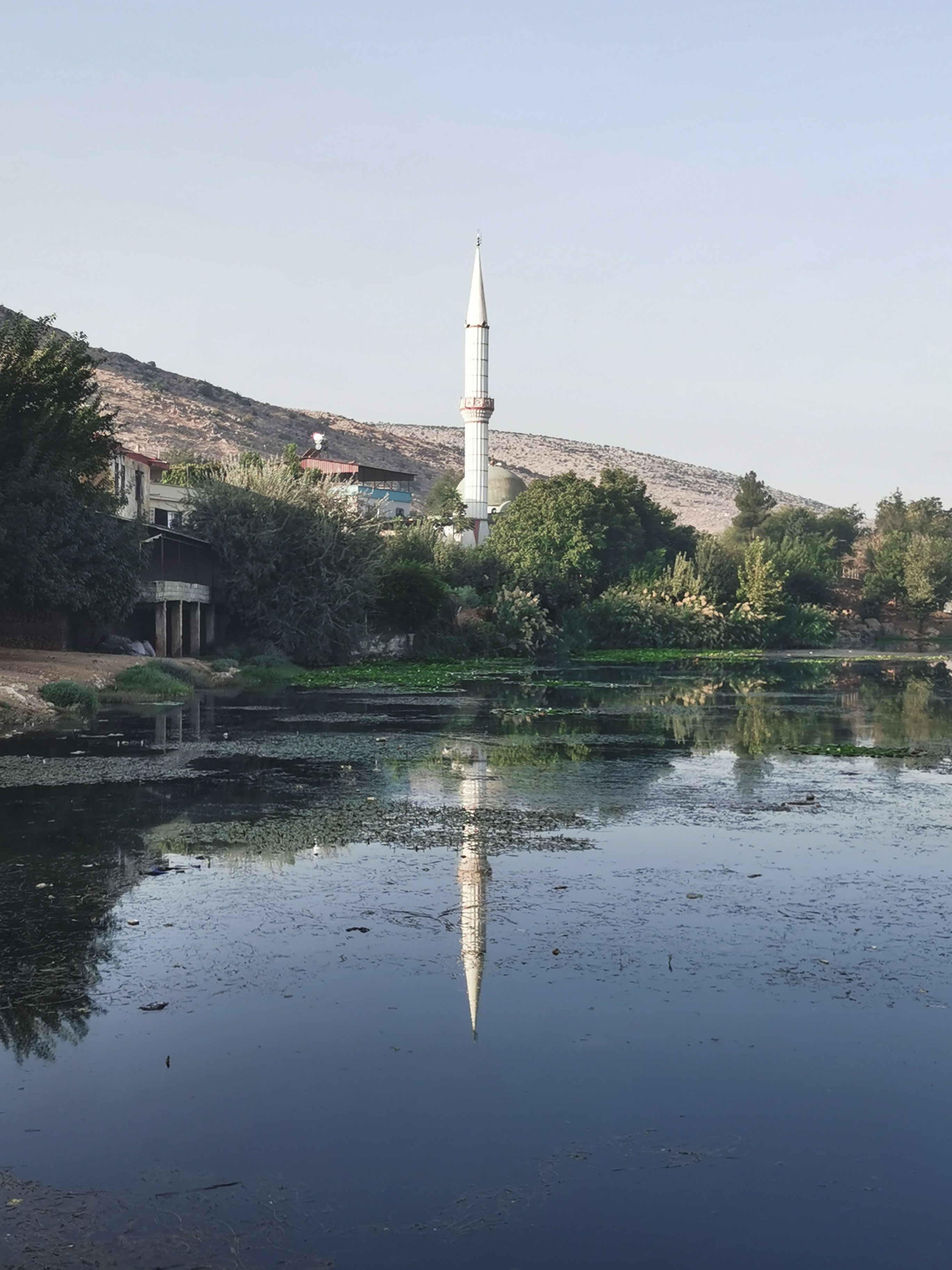 Reflection of Tower in Swamp · Free Stock Photo