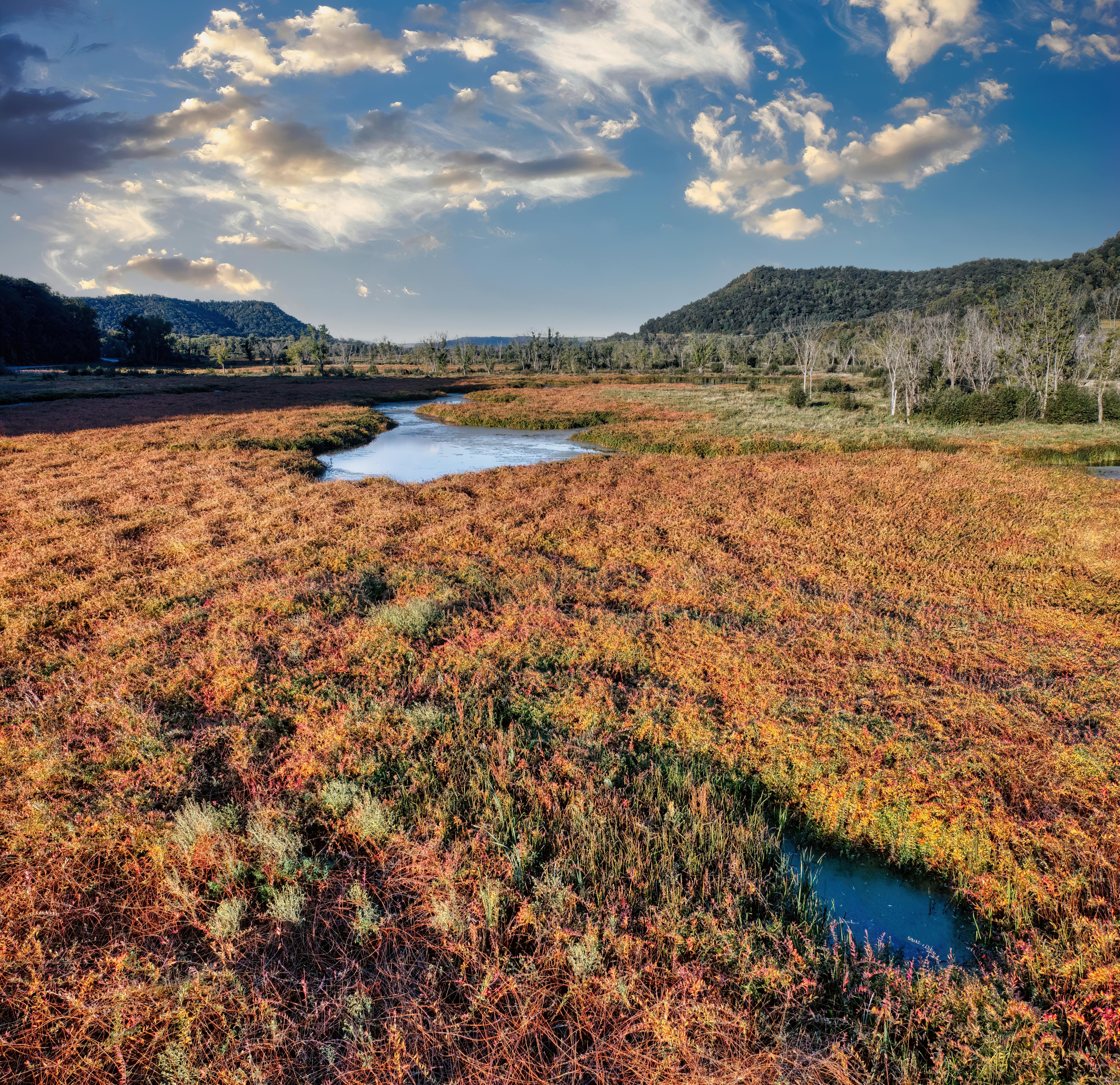 Healing Scenery Photos, Download The BEST Free Healing Scenery Stock ...