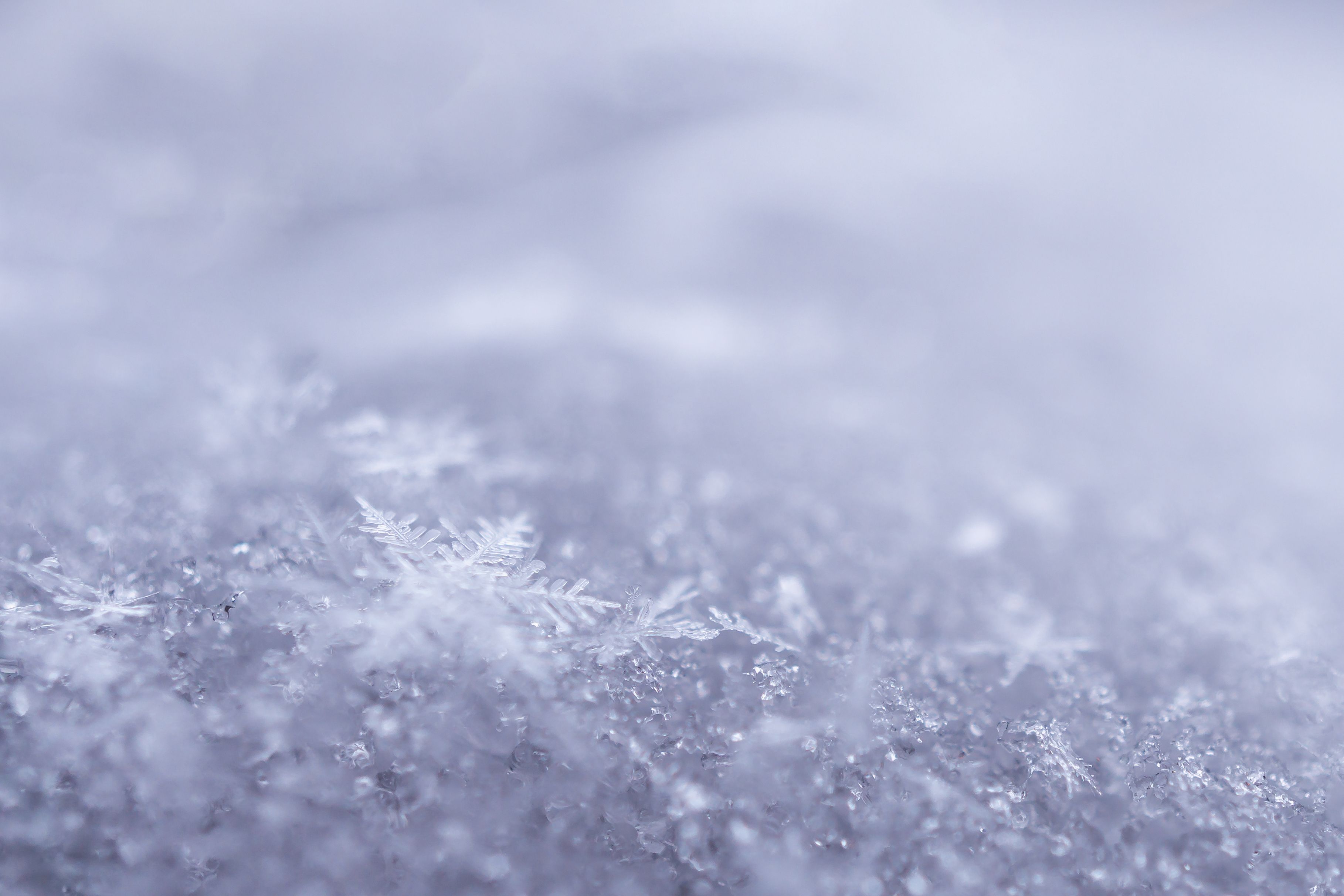 White Podium Photos, Download The BEST Free White Podium Stock Photos ...
