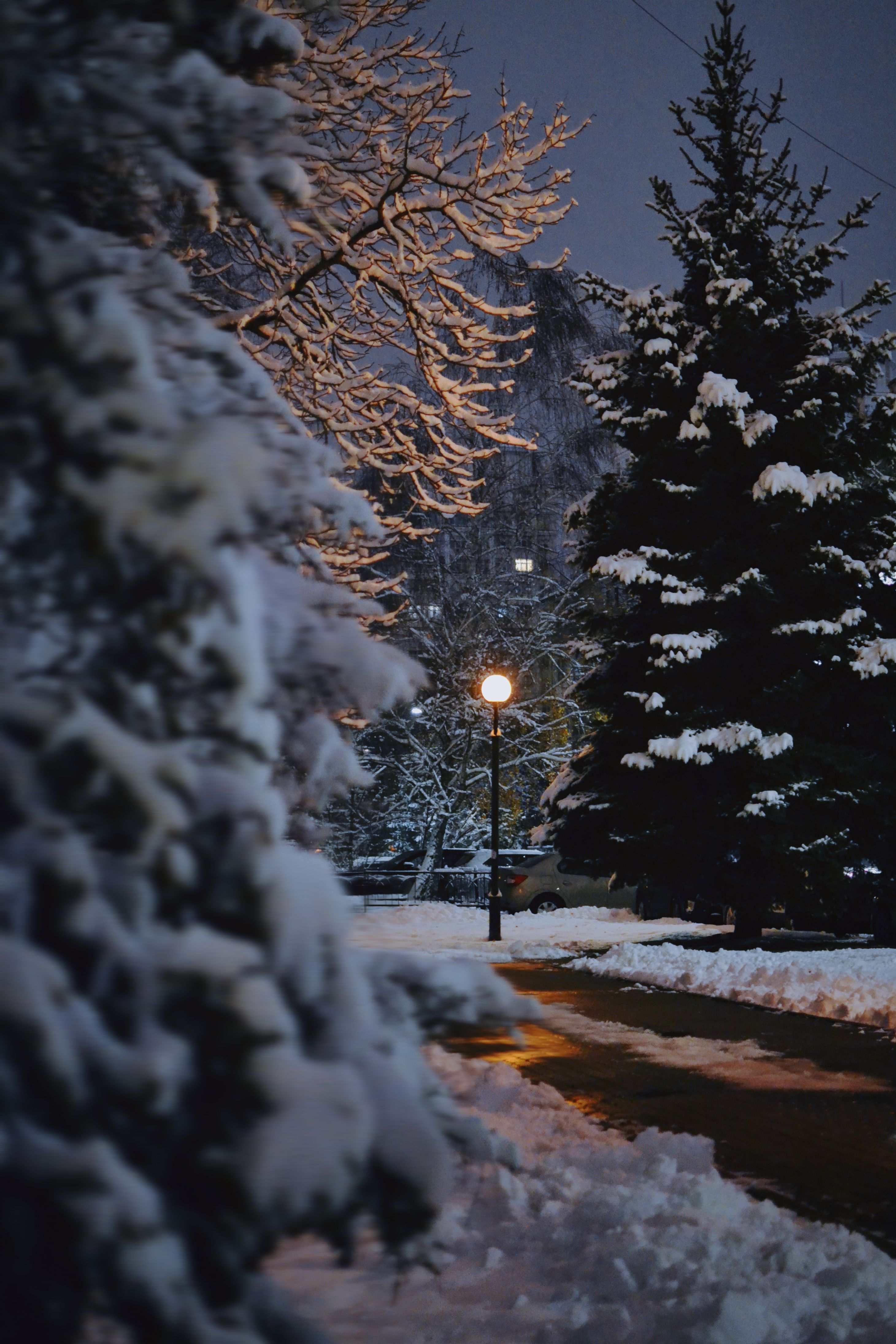 Street Lamp in Park in Winter · Free Stock Photo
