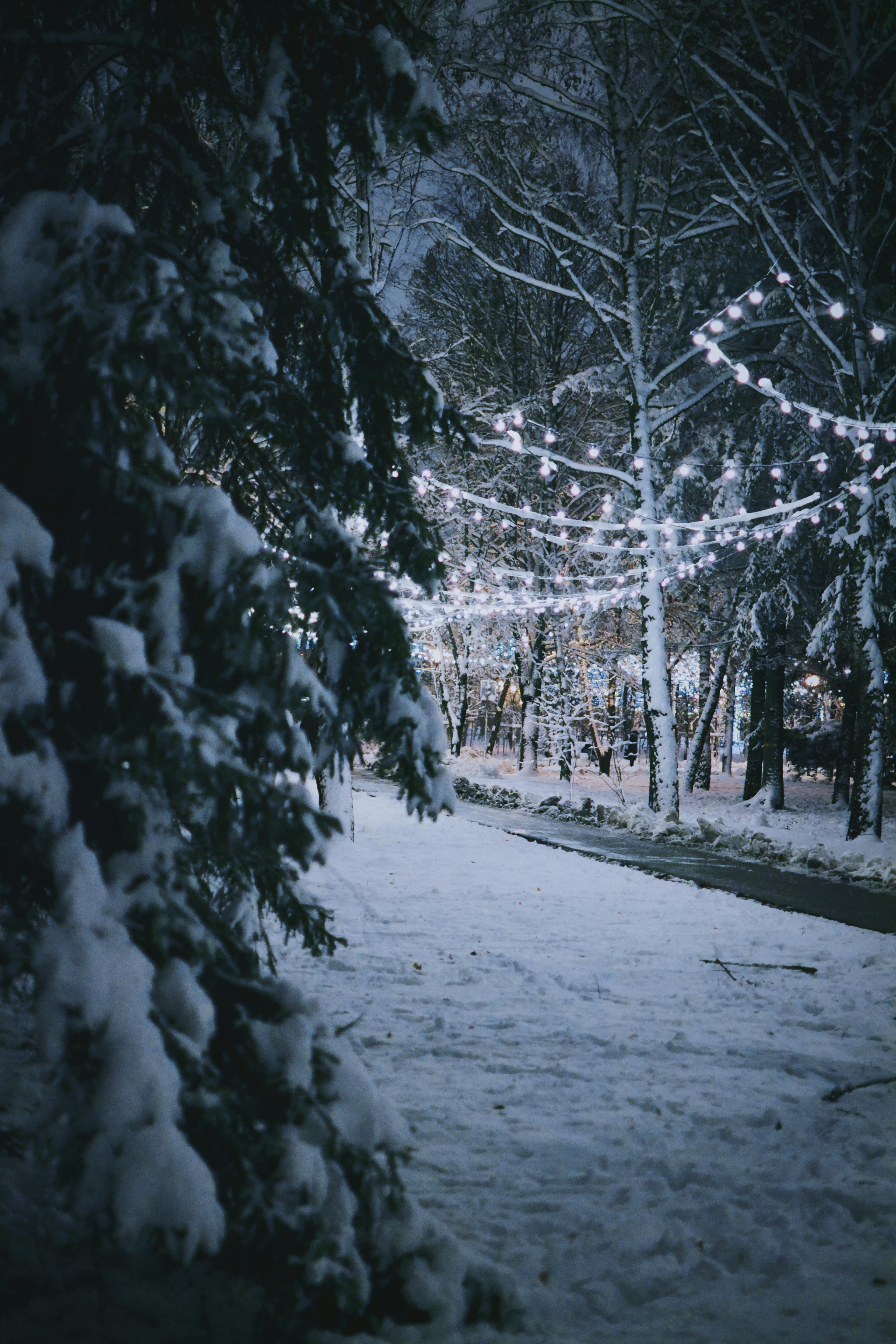 8k Wallpaper Lock Screen Photos, Download The BEST Free 8k Wallpaper ...