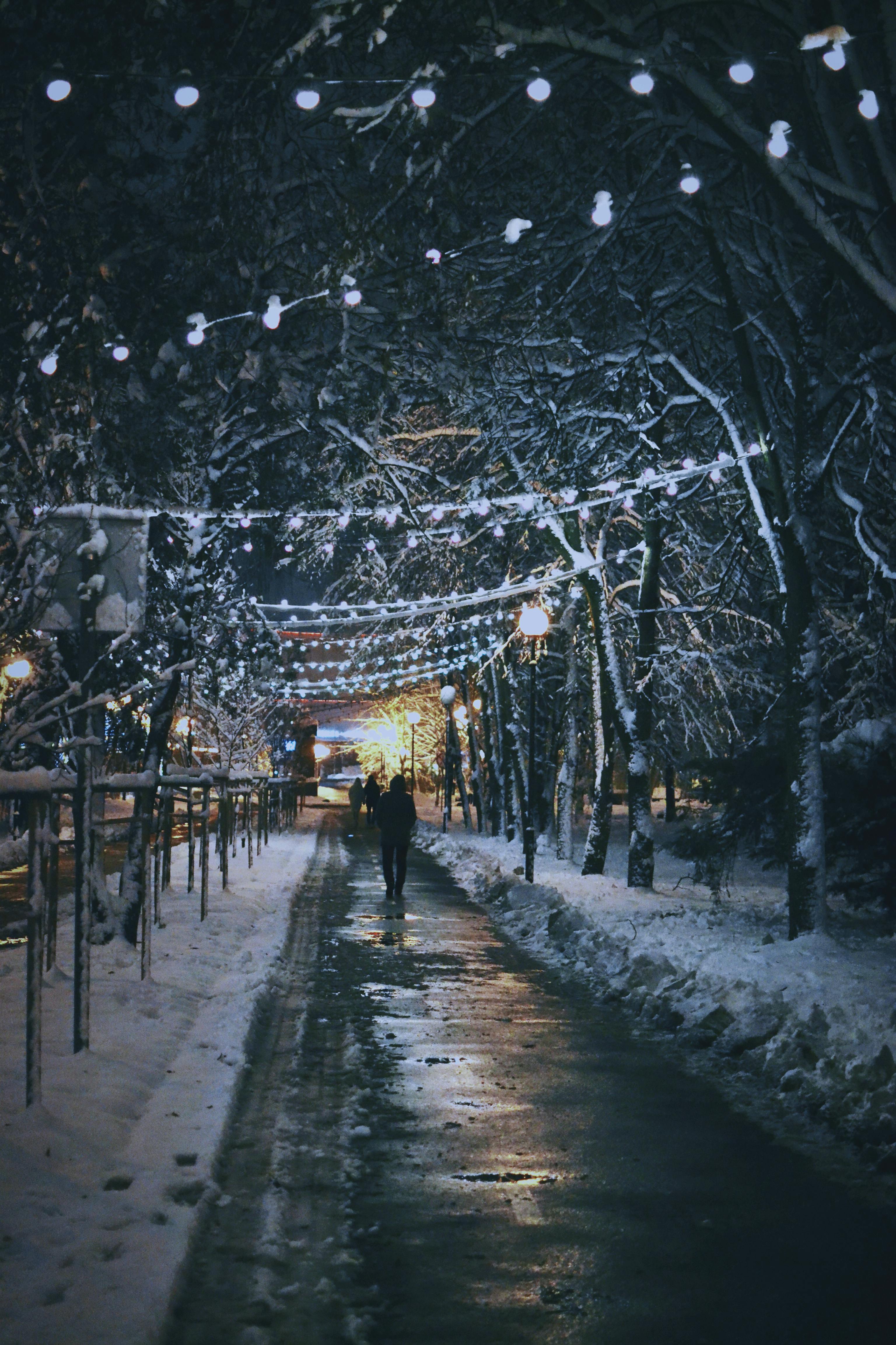 Illuminated Pathway Photos, Download The BEST Free Illuminated Pathway ...