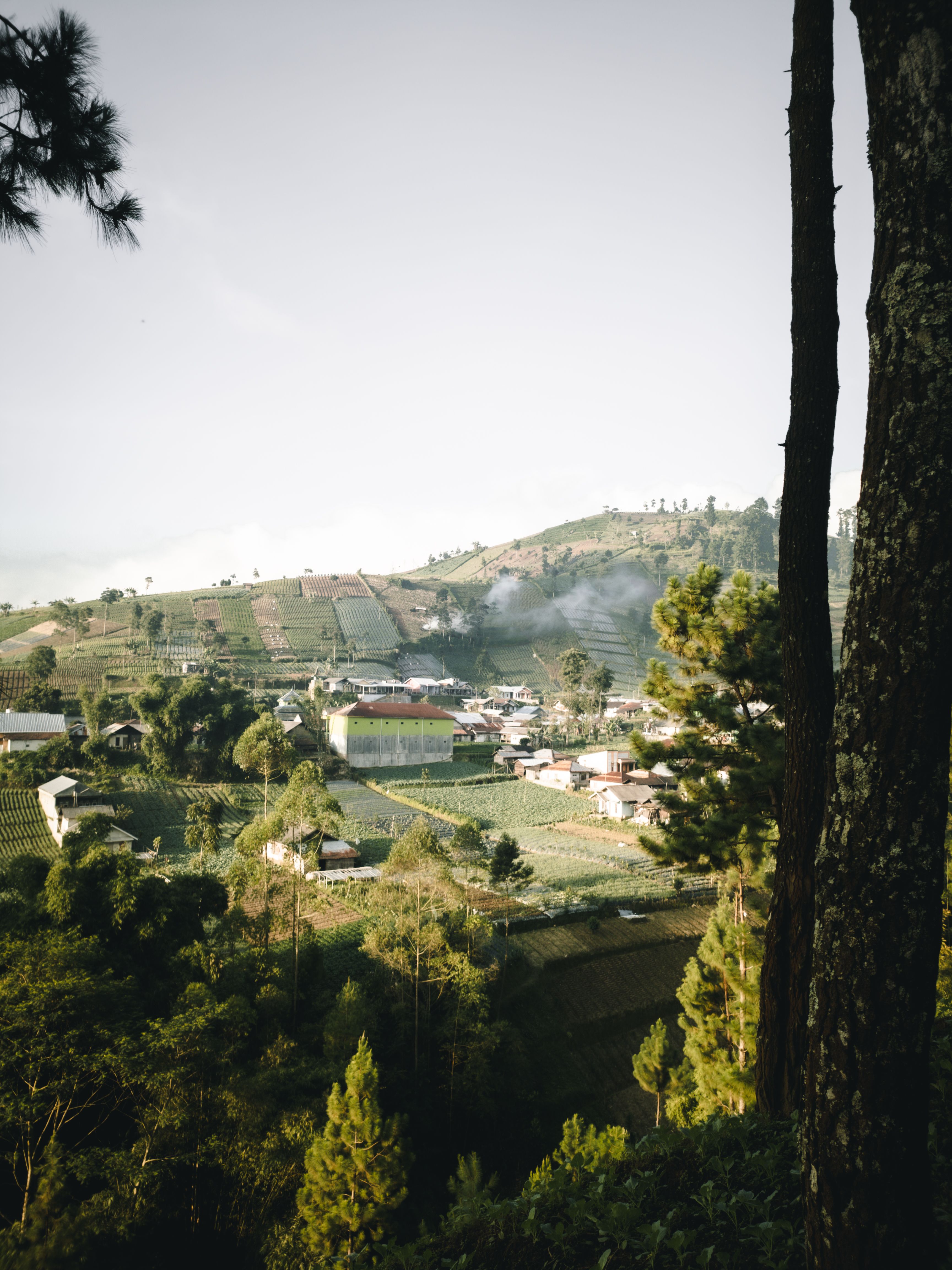 Village in Summer · Free Stock Photo