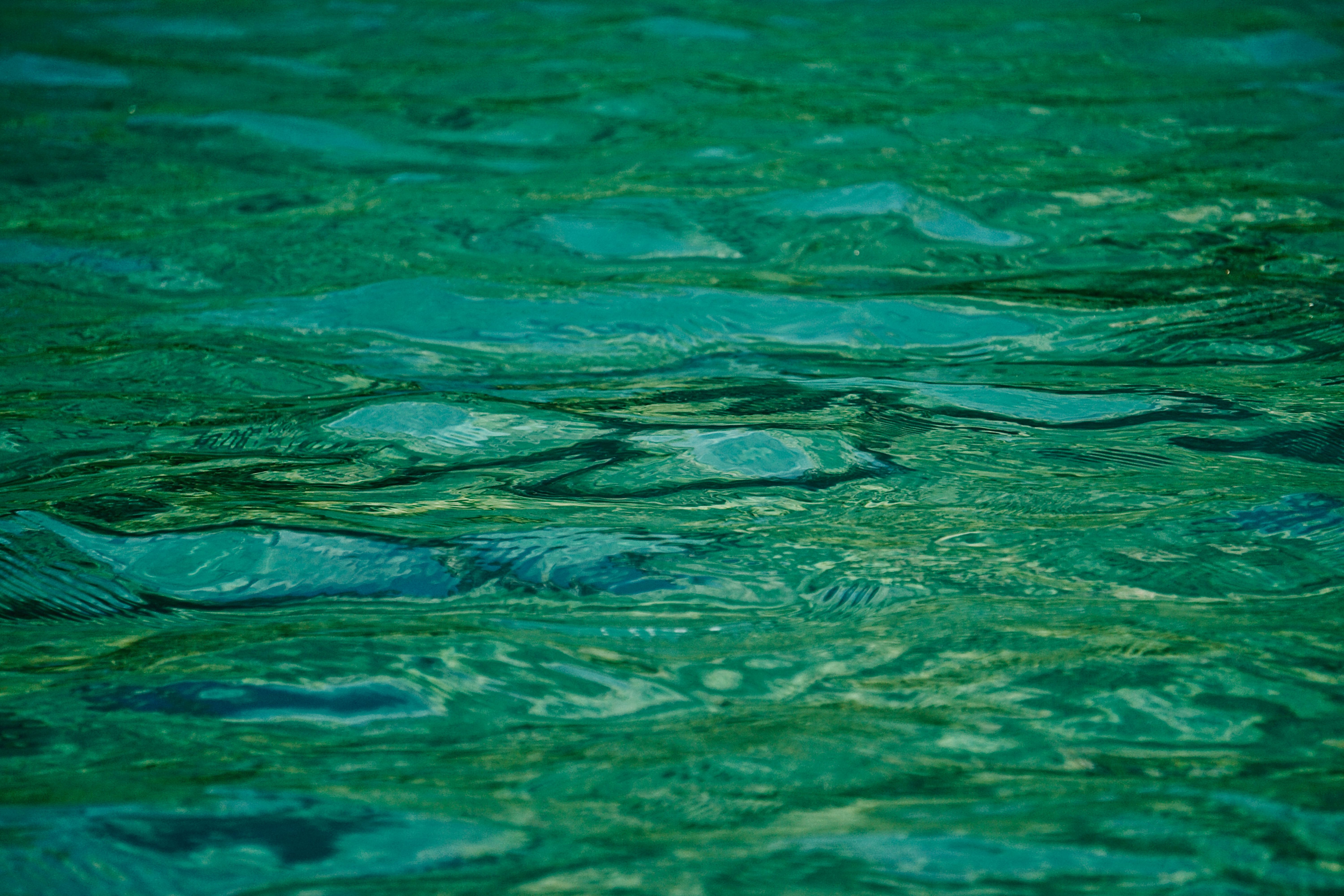Close-up of Calm Water Surface · Free Stock Photo