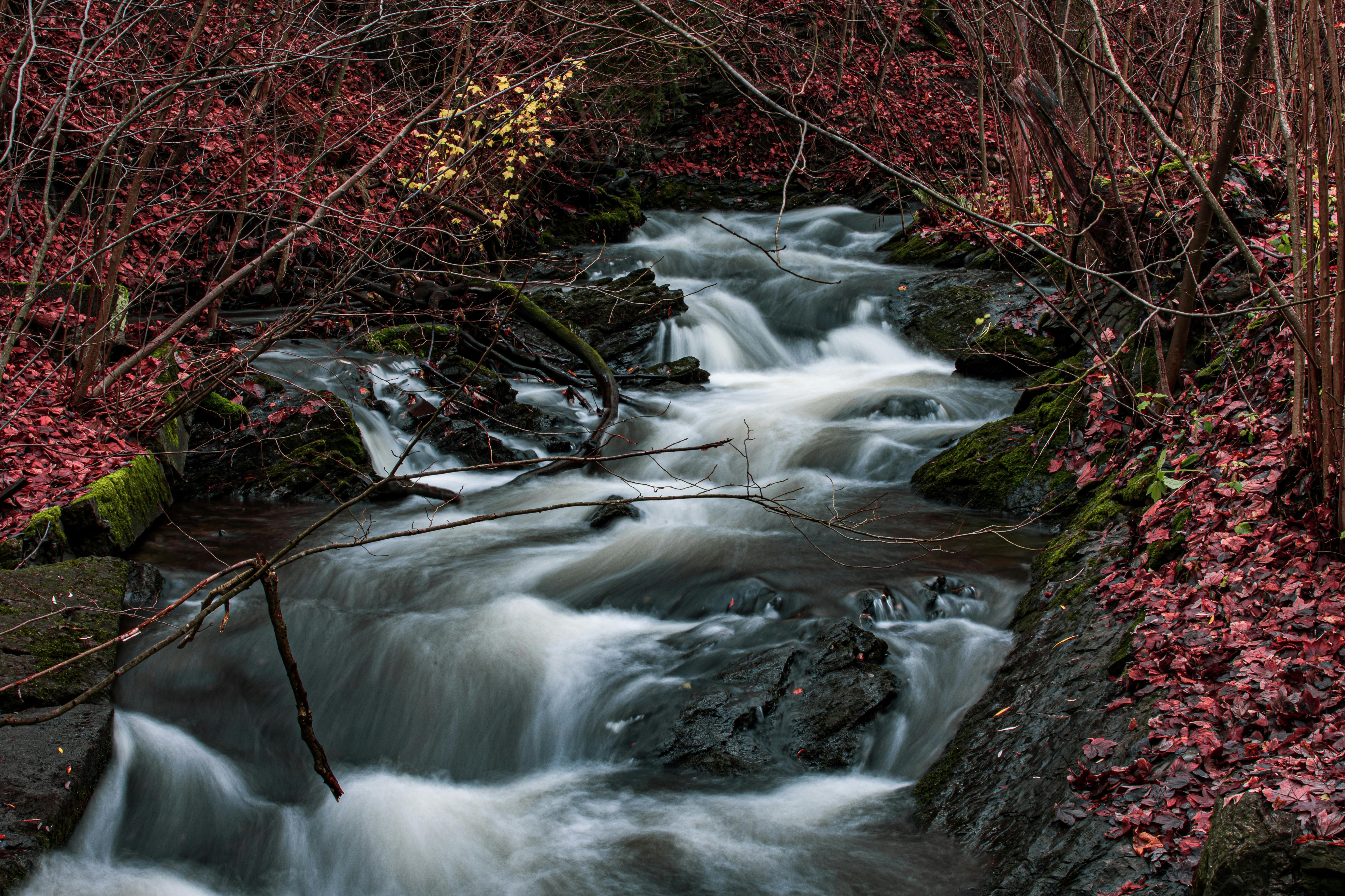 Fotografía De Larga Exposición De Un Arroyo · Foto de stock gratuita