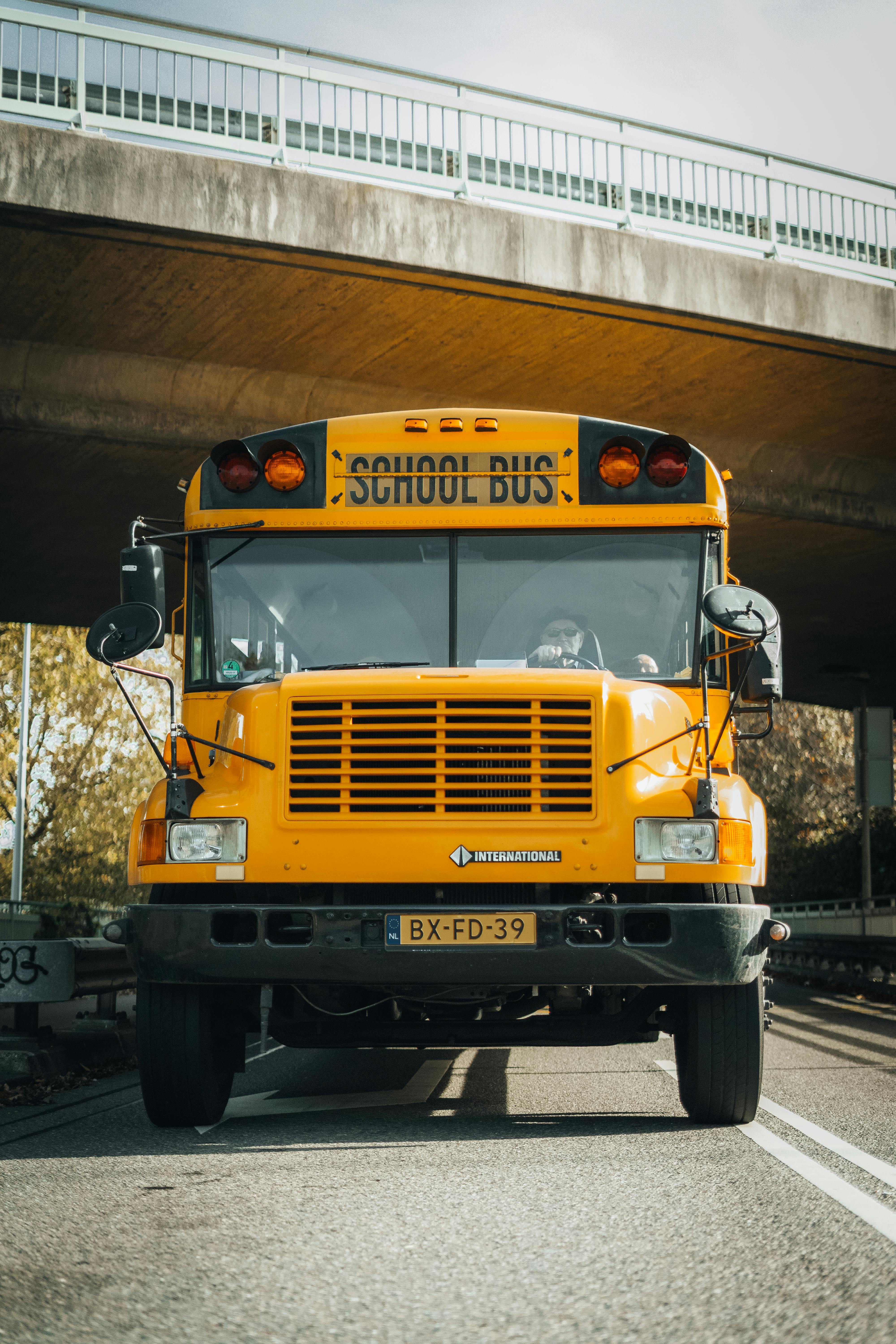 School Bus Road Photos, Download The BEST Free School Bus Road Stock ...