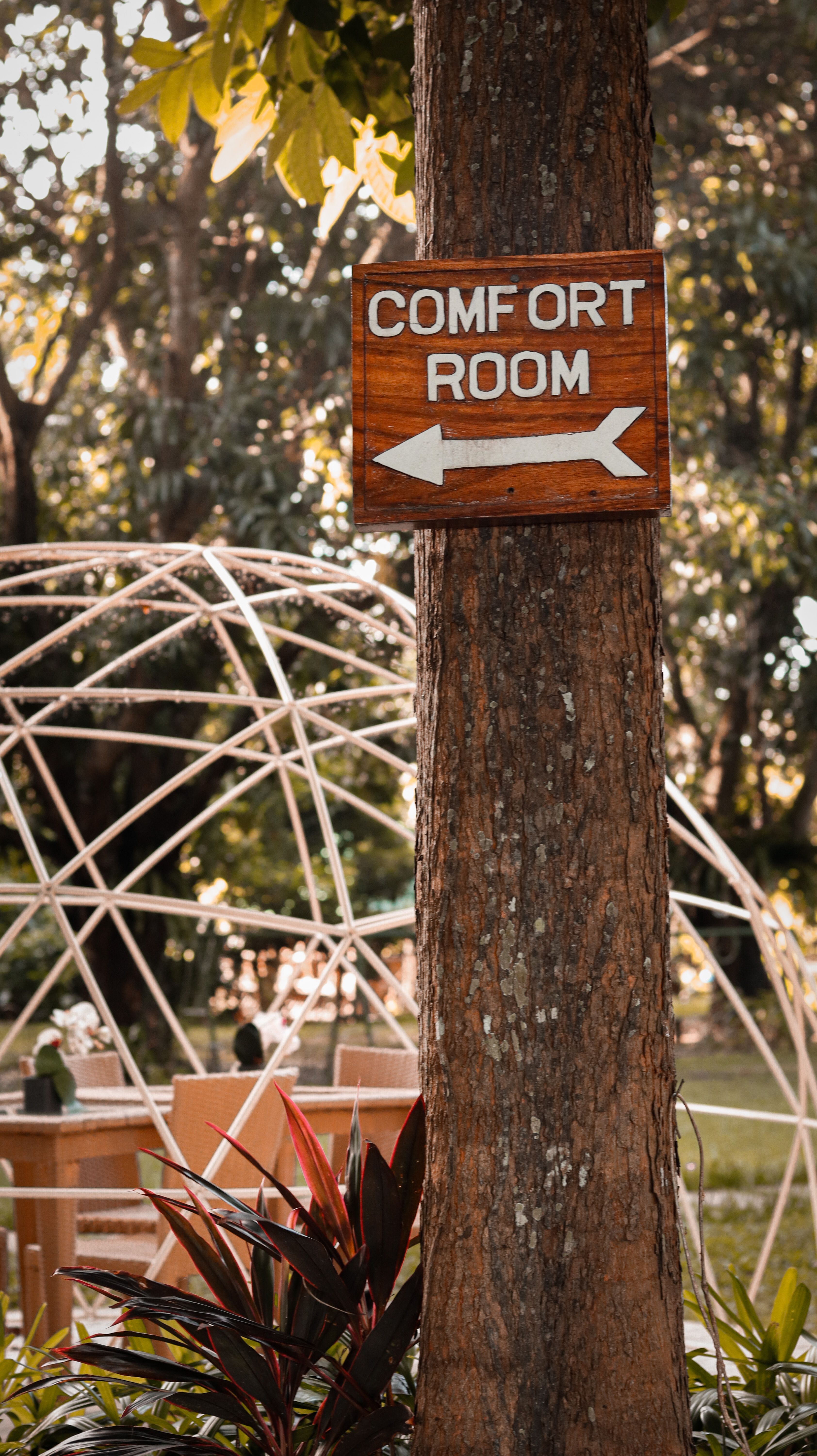 A Comfort Room Signage on the Tree · Free Stock Photo