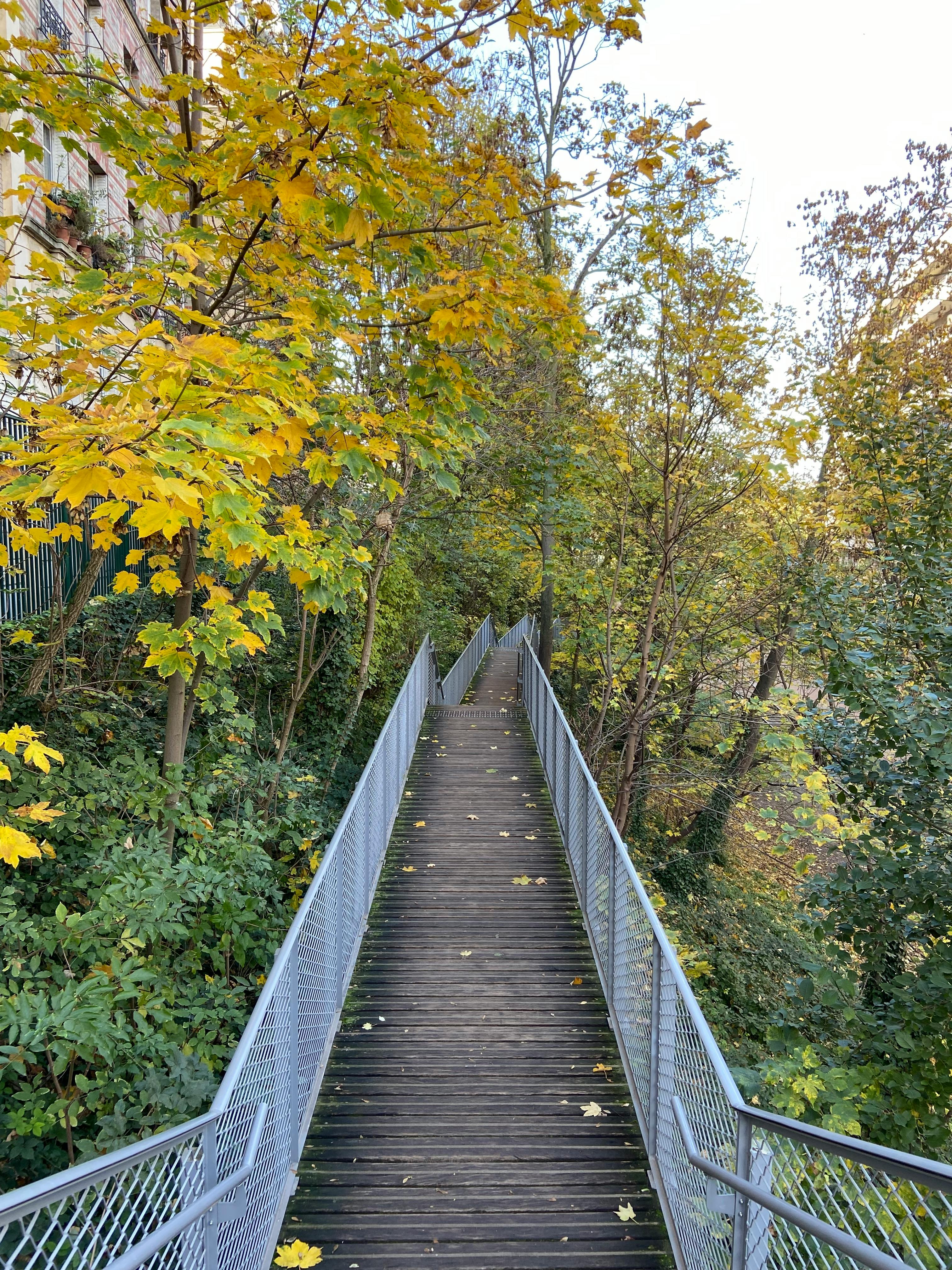 Long Stairs Photos, Download The BEST Free Long Stairs Stock Photos ...