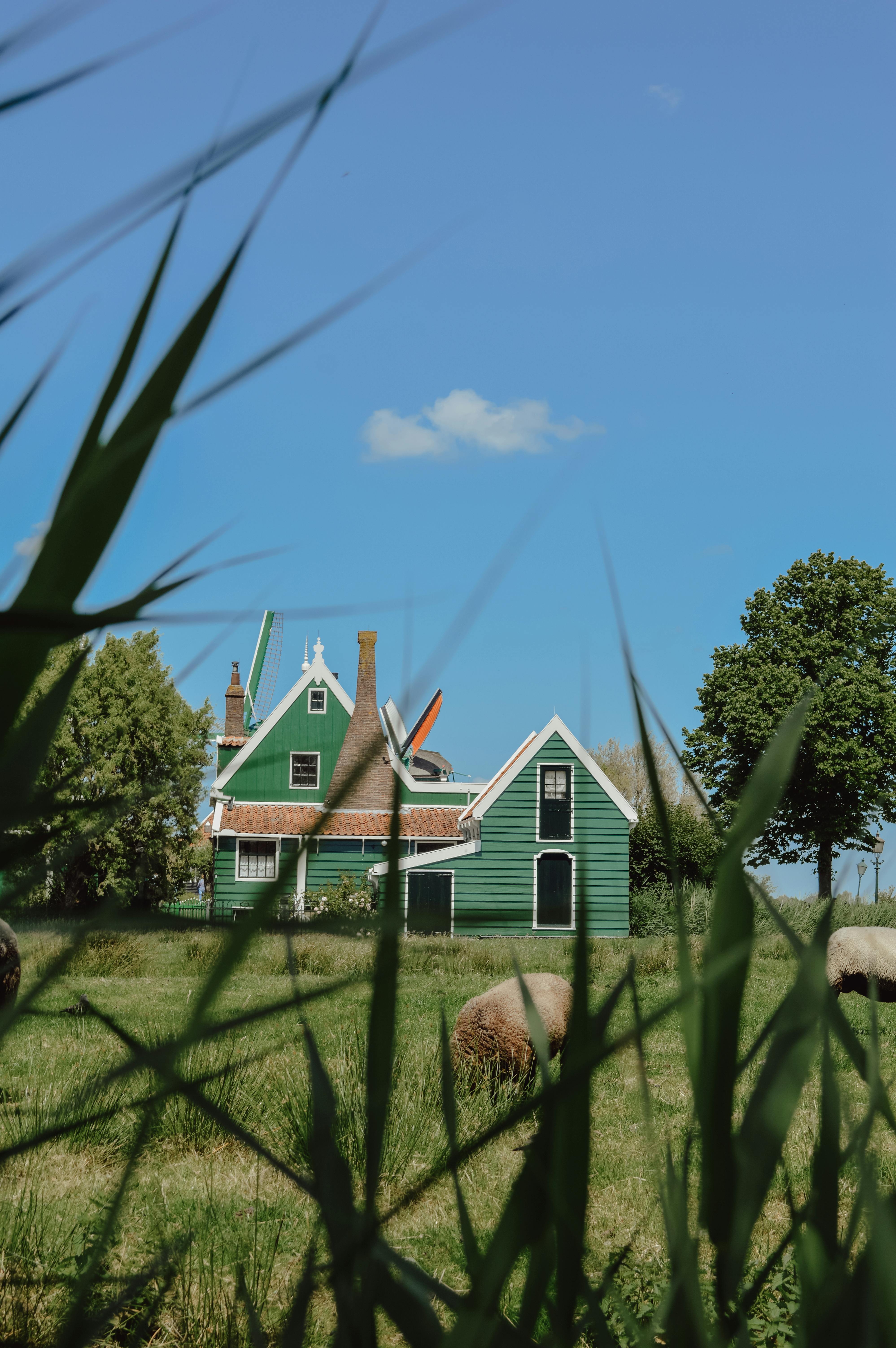 Green Wooden House Near Grass Field Under Blue Sky · Free Stock Photo
