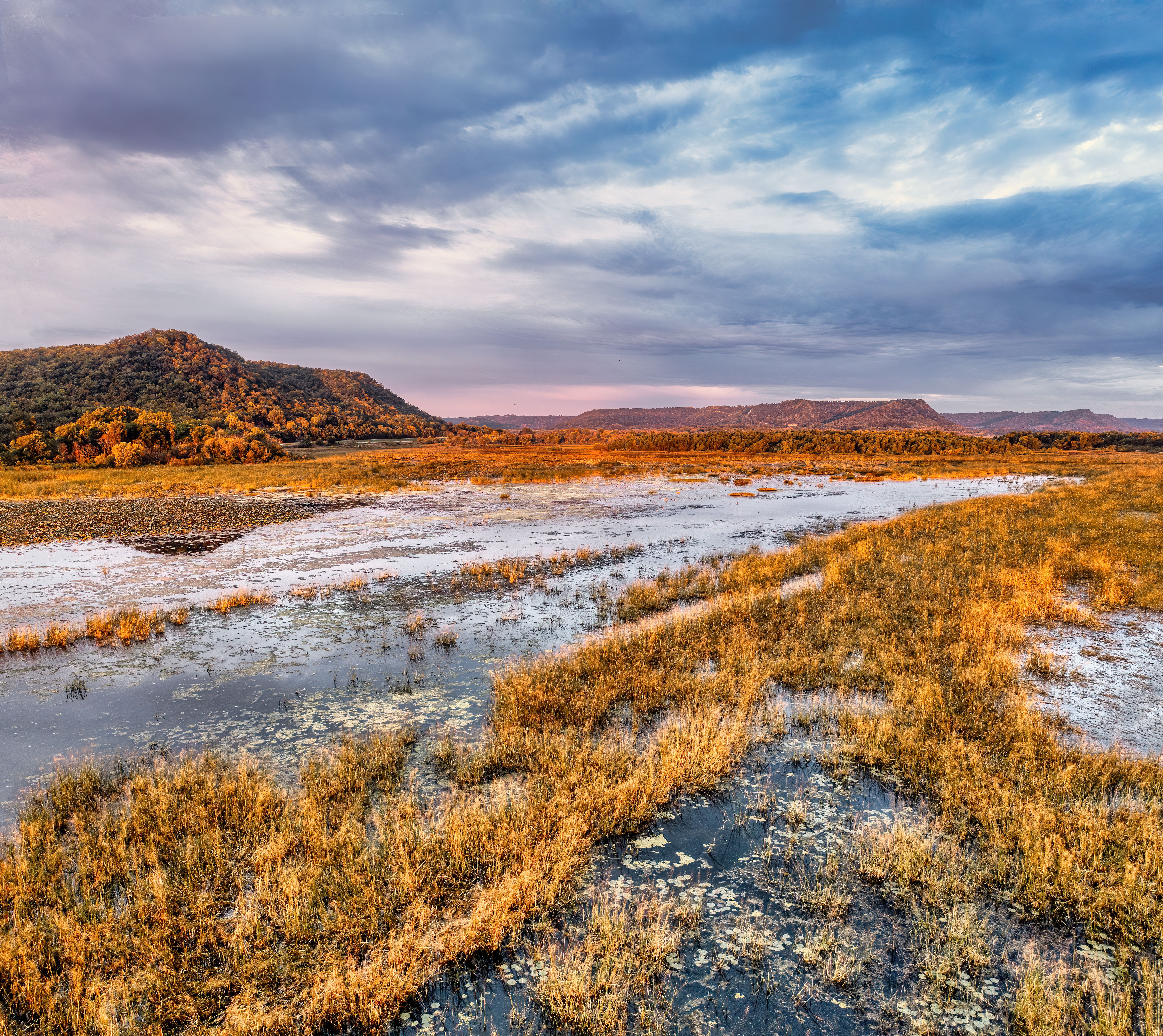 Autumn Swamp at Dusk · Free Stock Photo