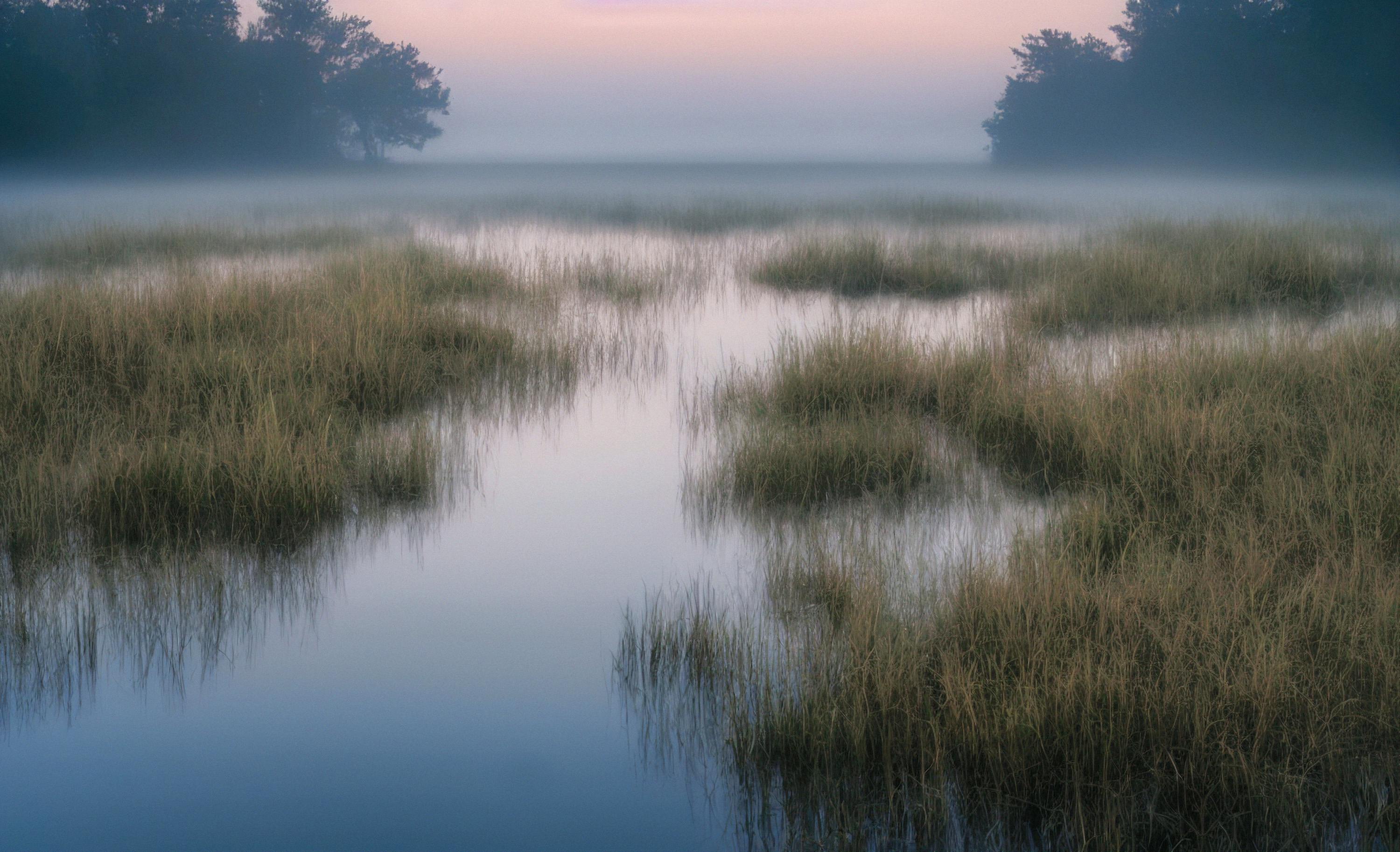 March Marsh Photos, Download The BEST Free March Marsh Stock Photos ...