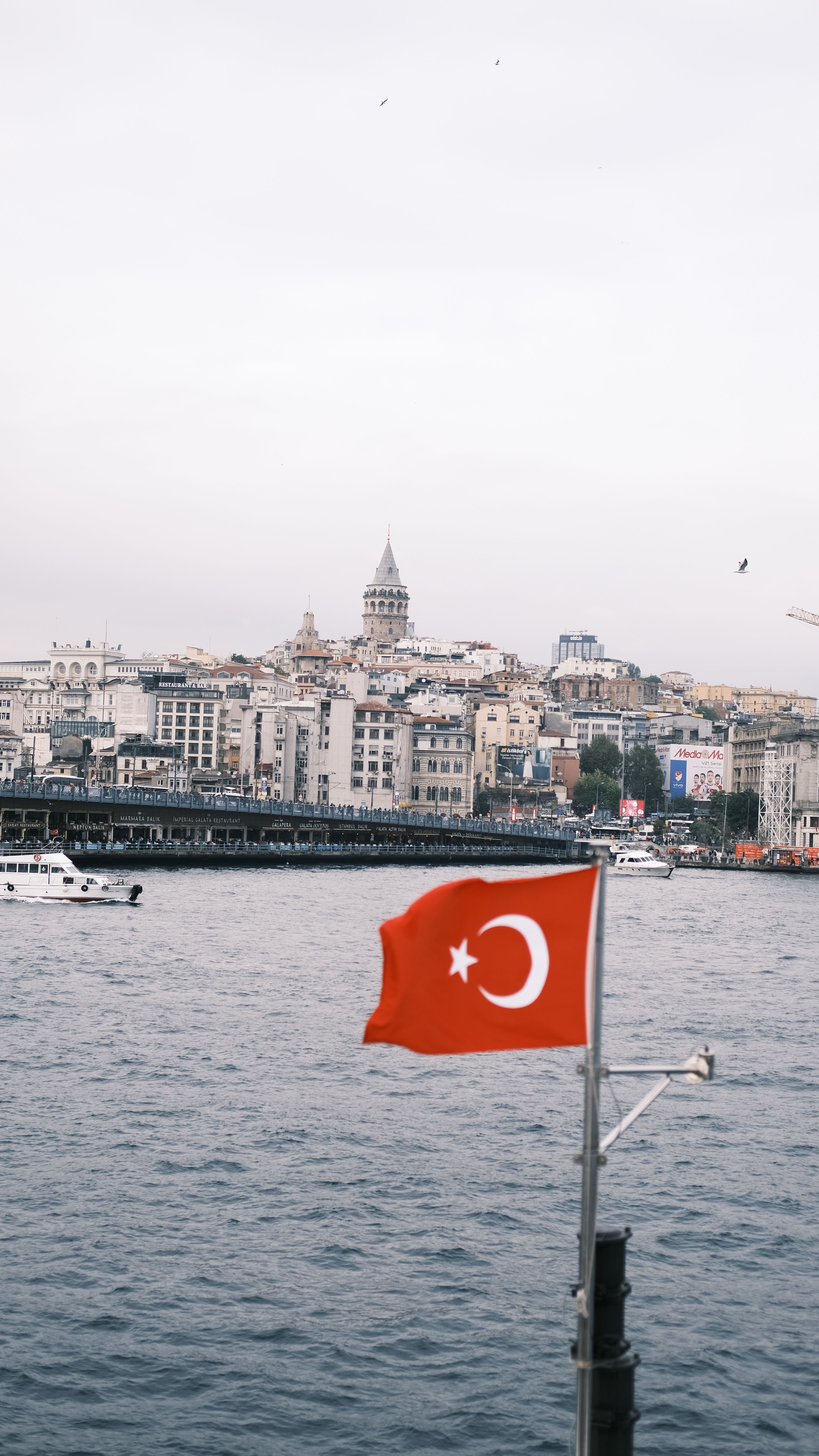 Flag of Turkey on Pole · Free Stock Photo