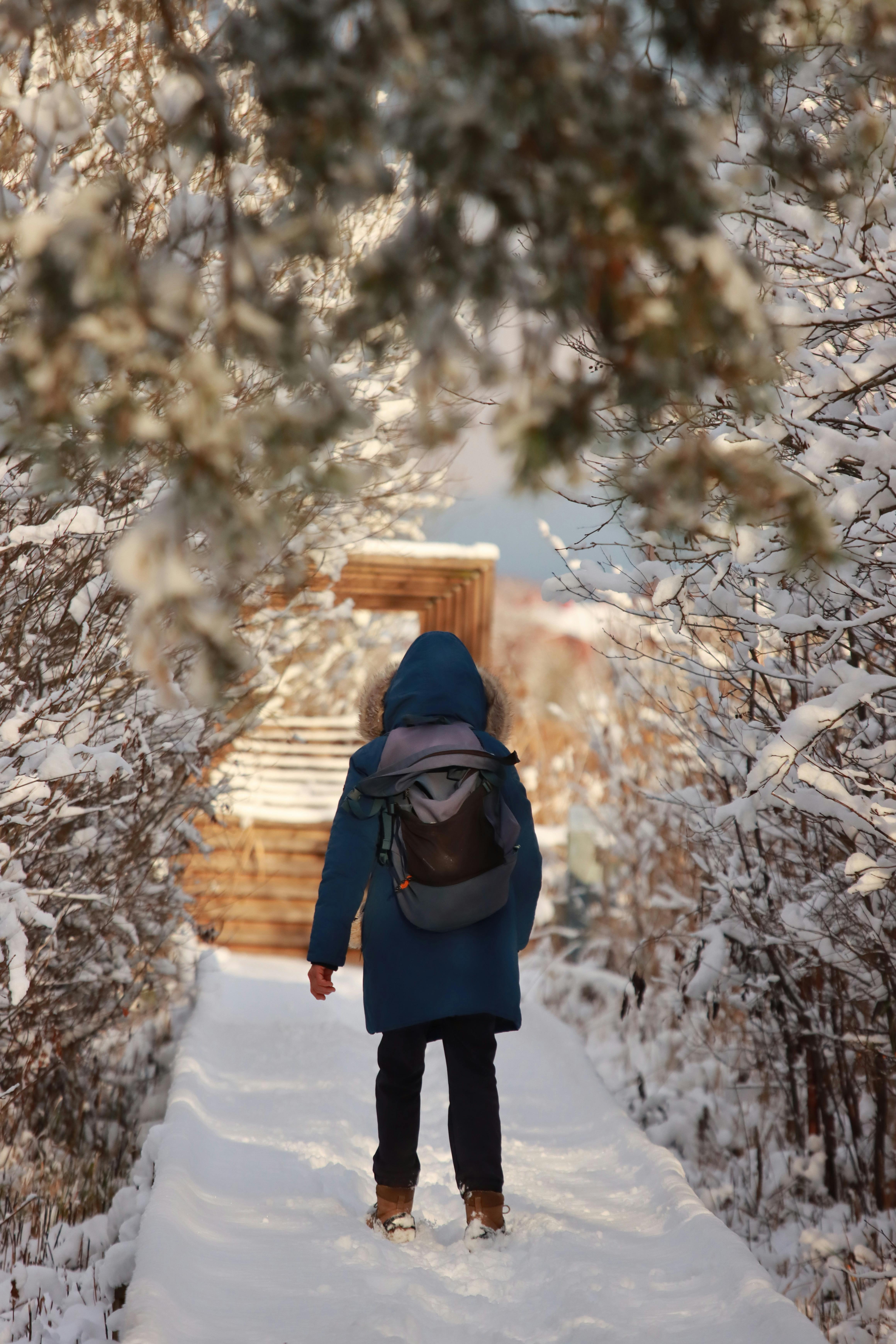 A Back View of a Person in Blue Hoodie Walking on a Snow Covered Ground ...