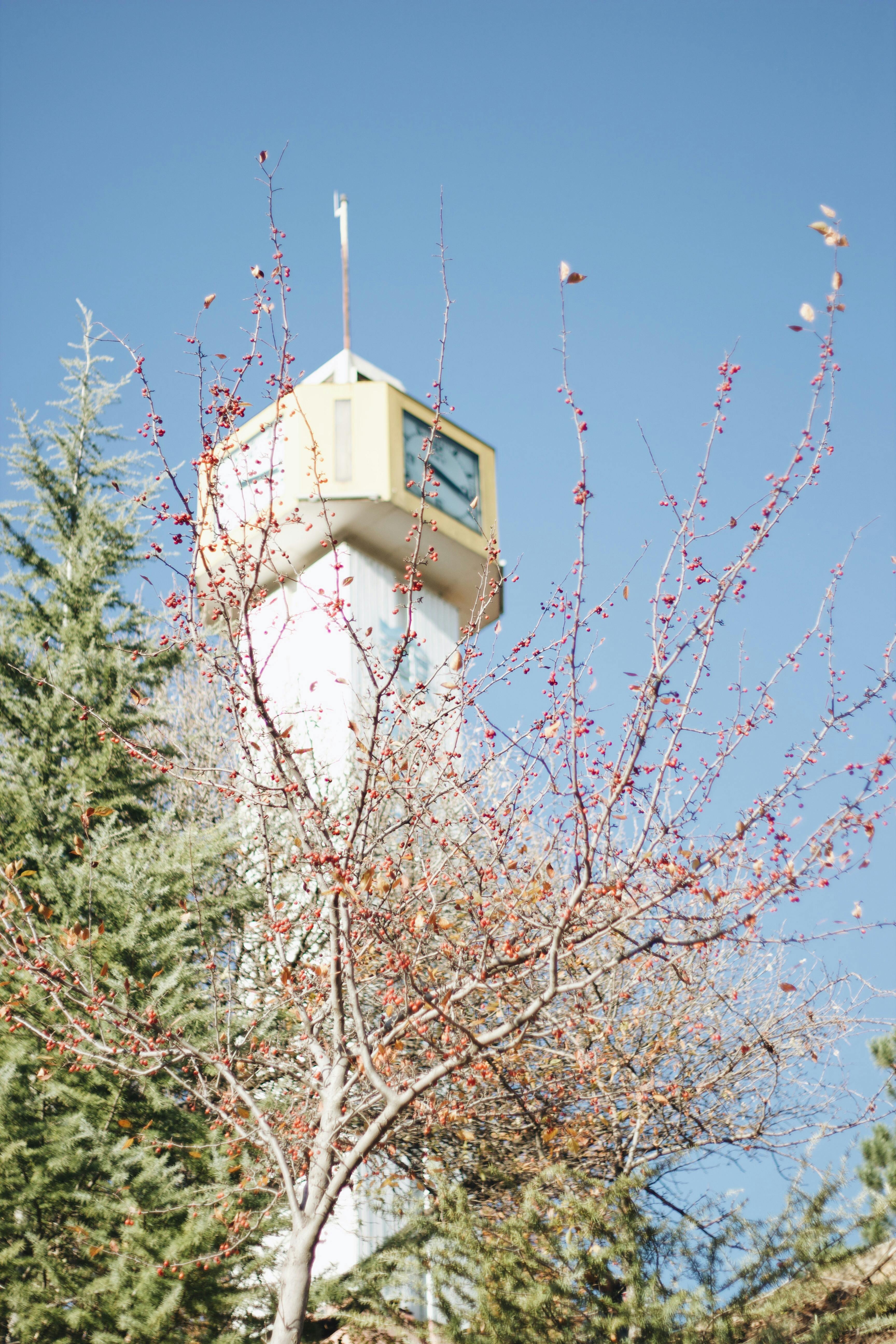 Time Change Spring Photos, Download The BEST Free Time Change Spring ...