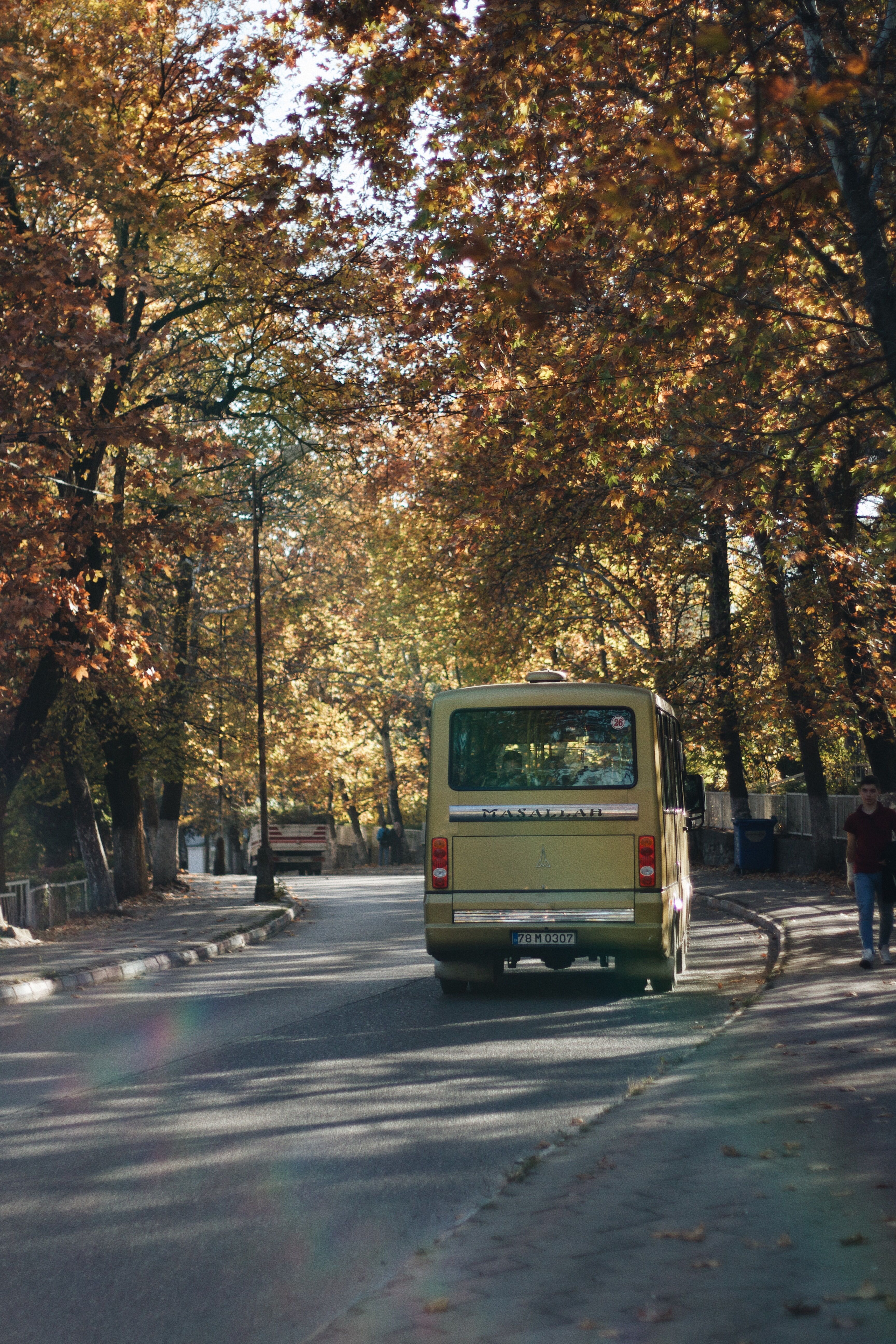 Bus on Street under Trees · Free Stock Photo