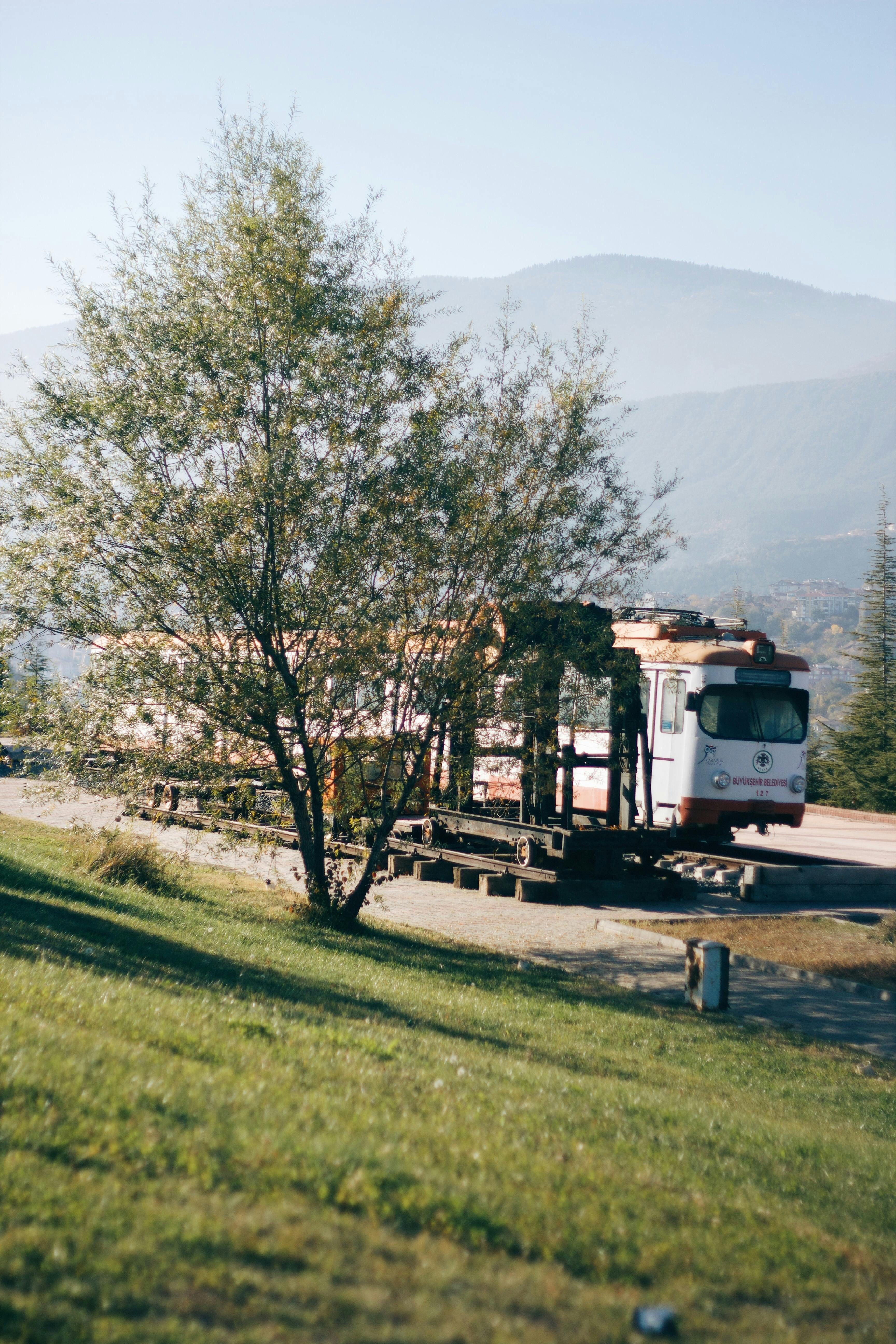 Tree and Wagon of Train in Countryside · Free Stock Photo