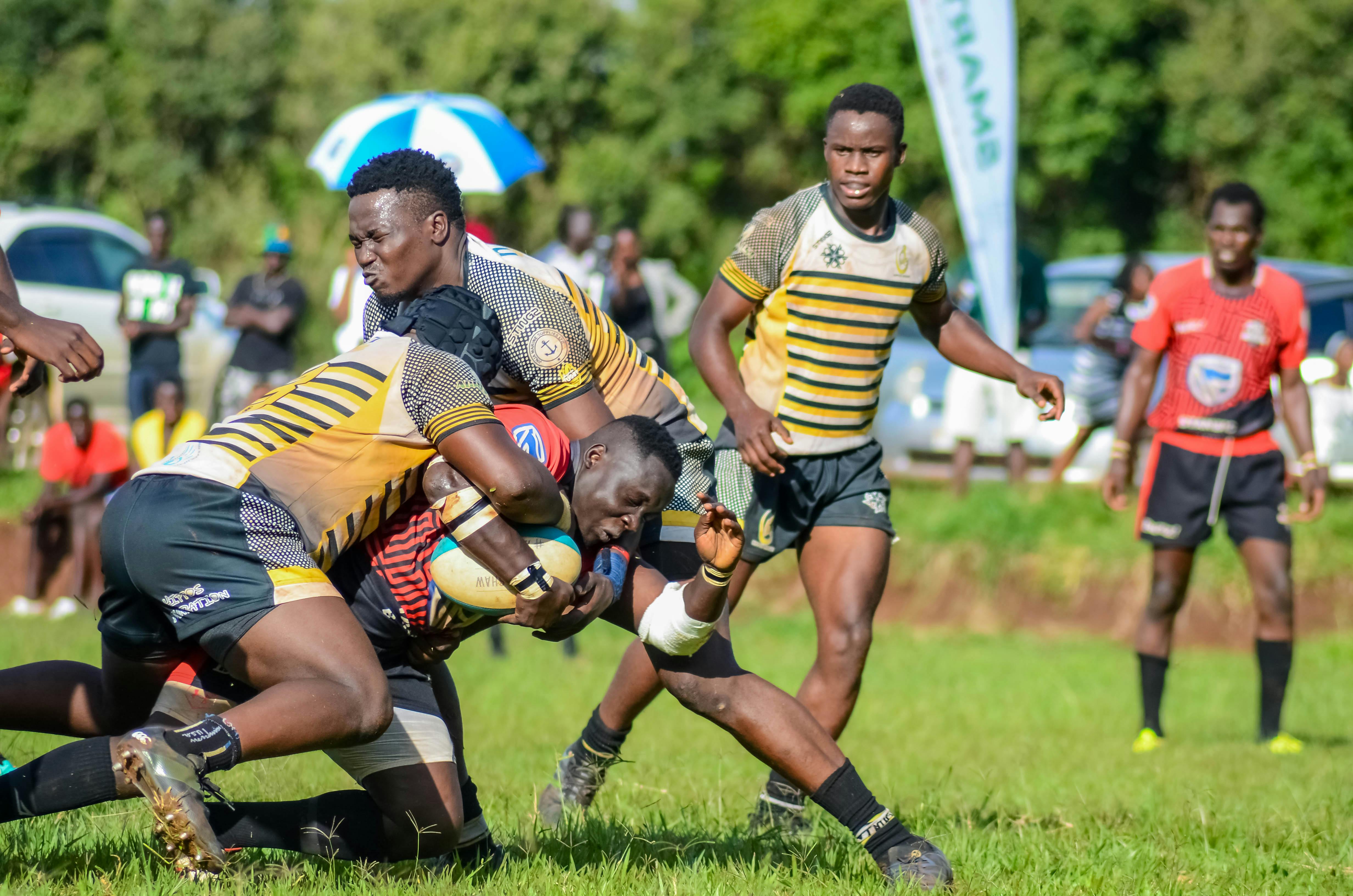 Young Men Playing Rugby · Free Stock Photo