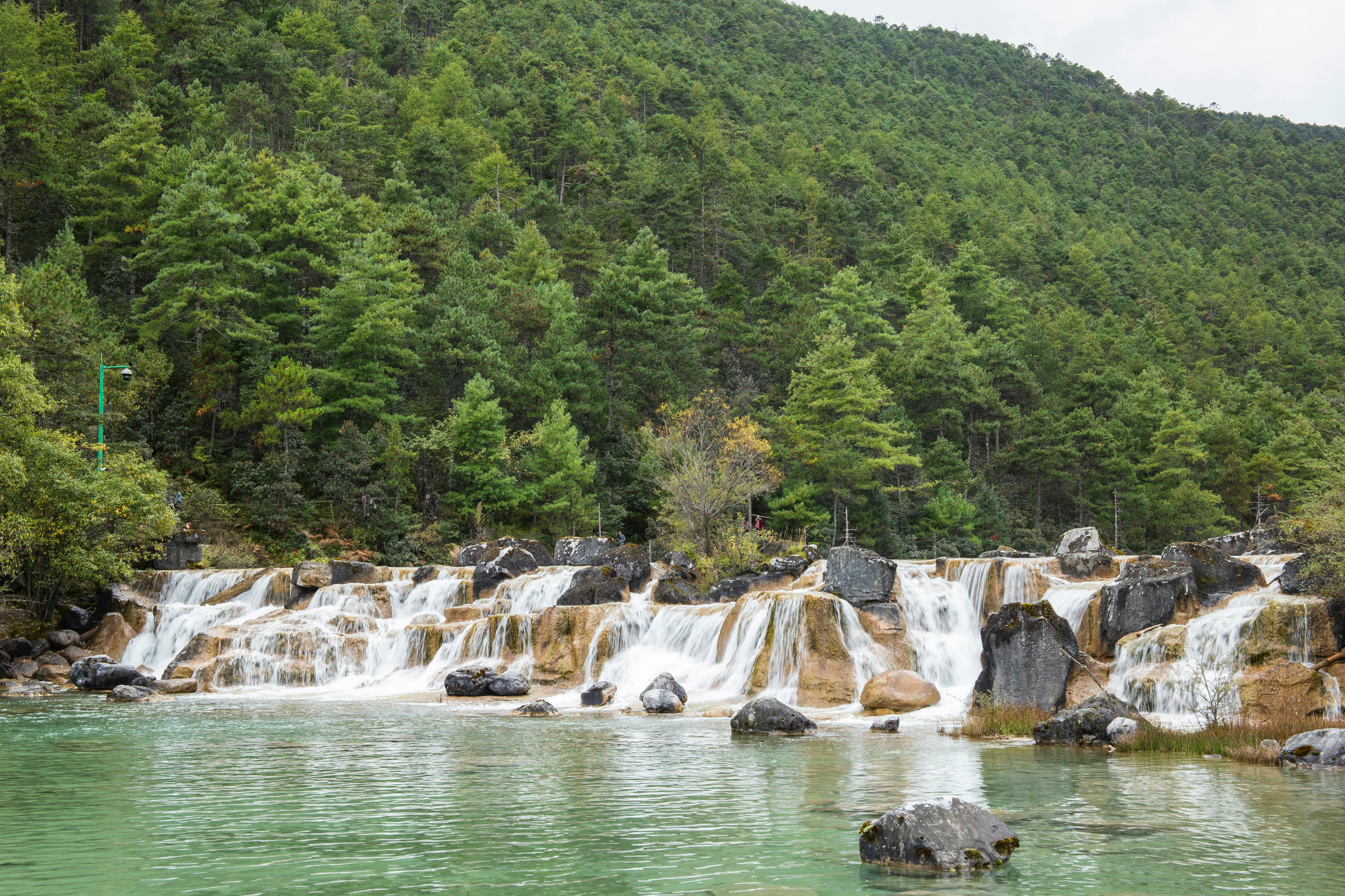 Green Water Flow Animation Photos, Download The BEST Free Green Water ...