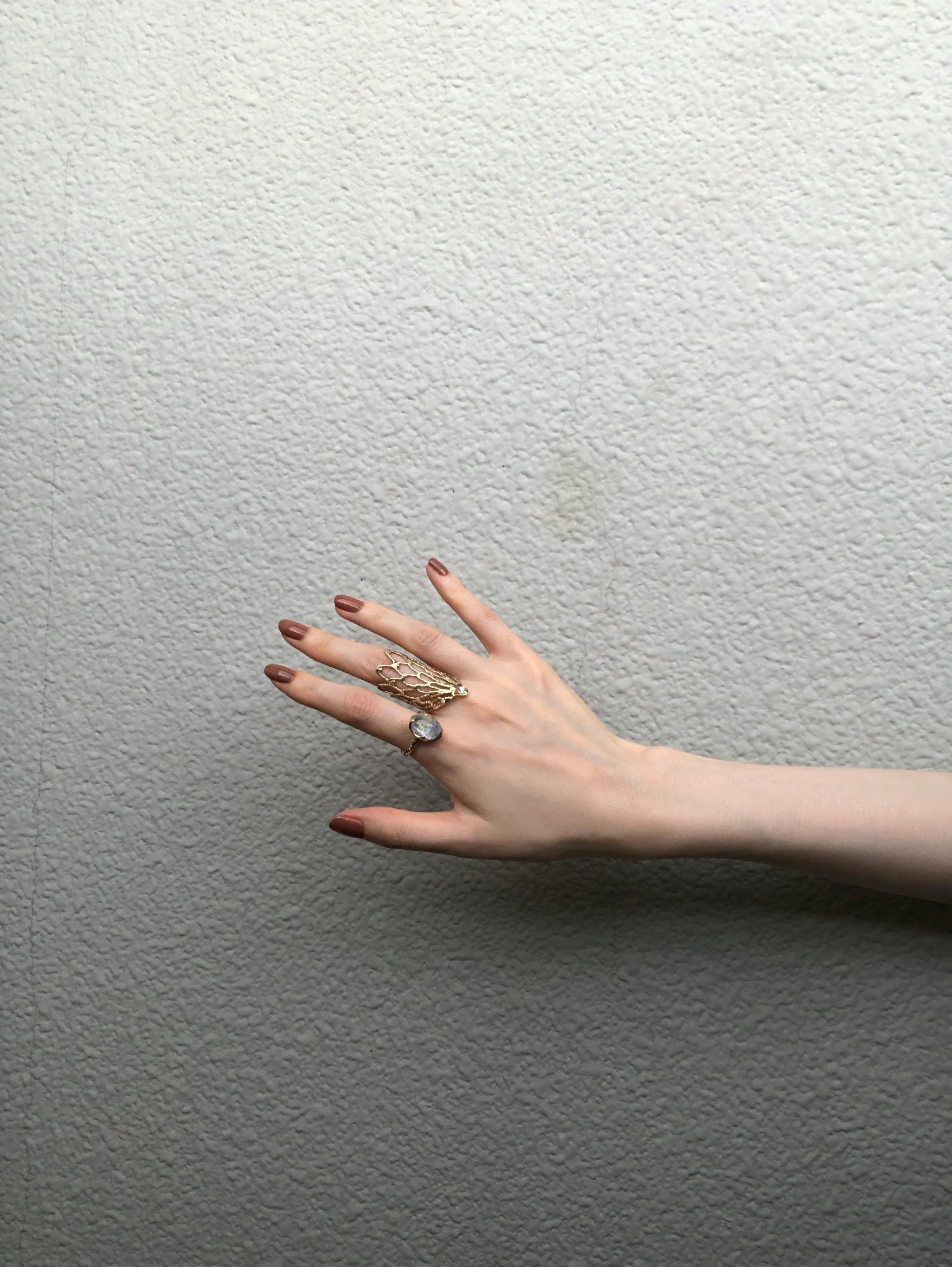 Photo of Women's Hands · Free Stock Photo